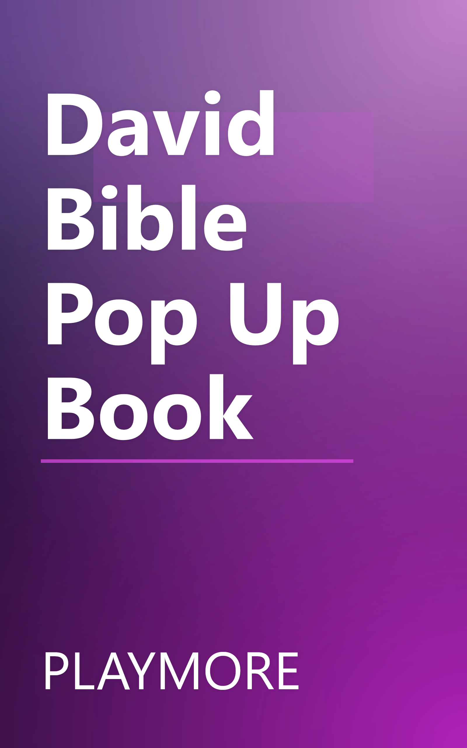David Bible Pop Up Book book cover
