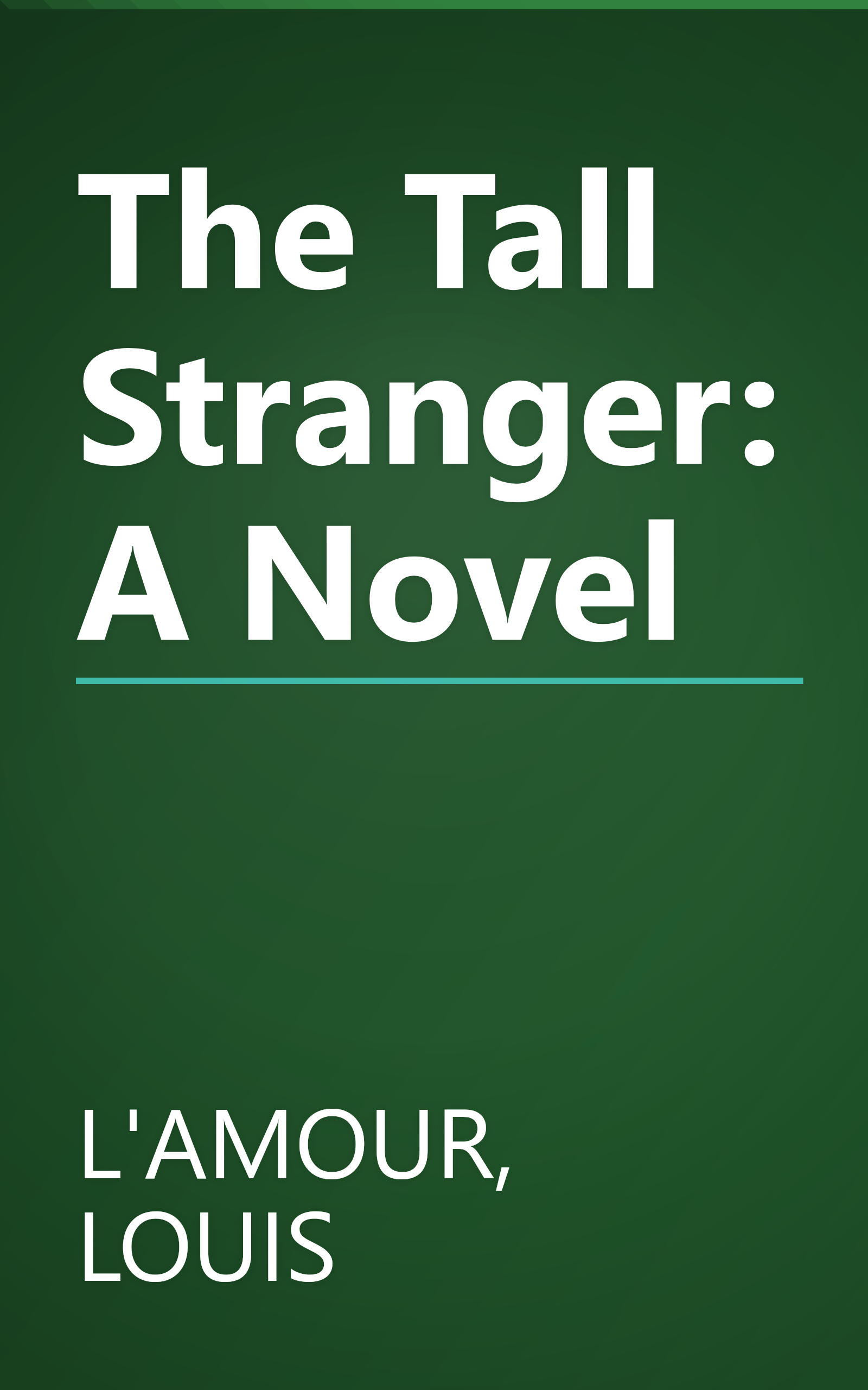 The Tall Stranger: A Novel book cover