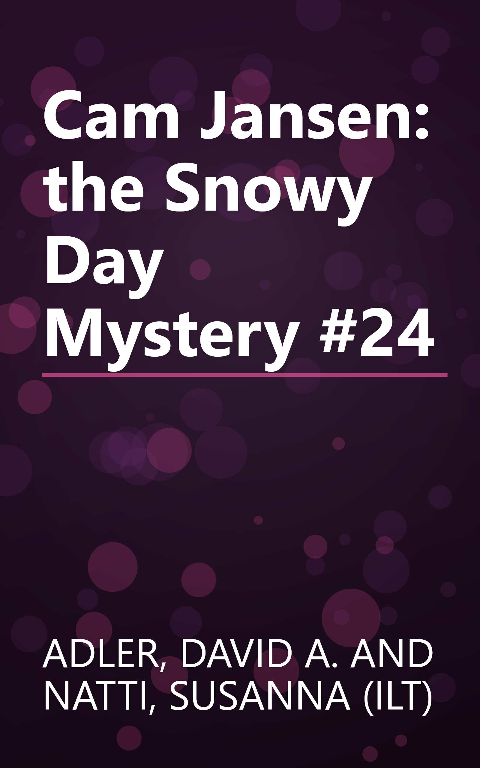 Cam Jansen: the Snowy Day Mystery #24 book cover