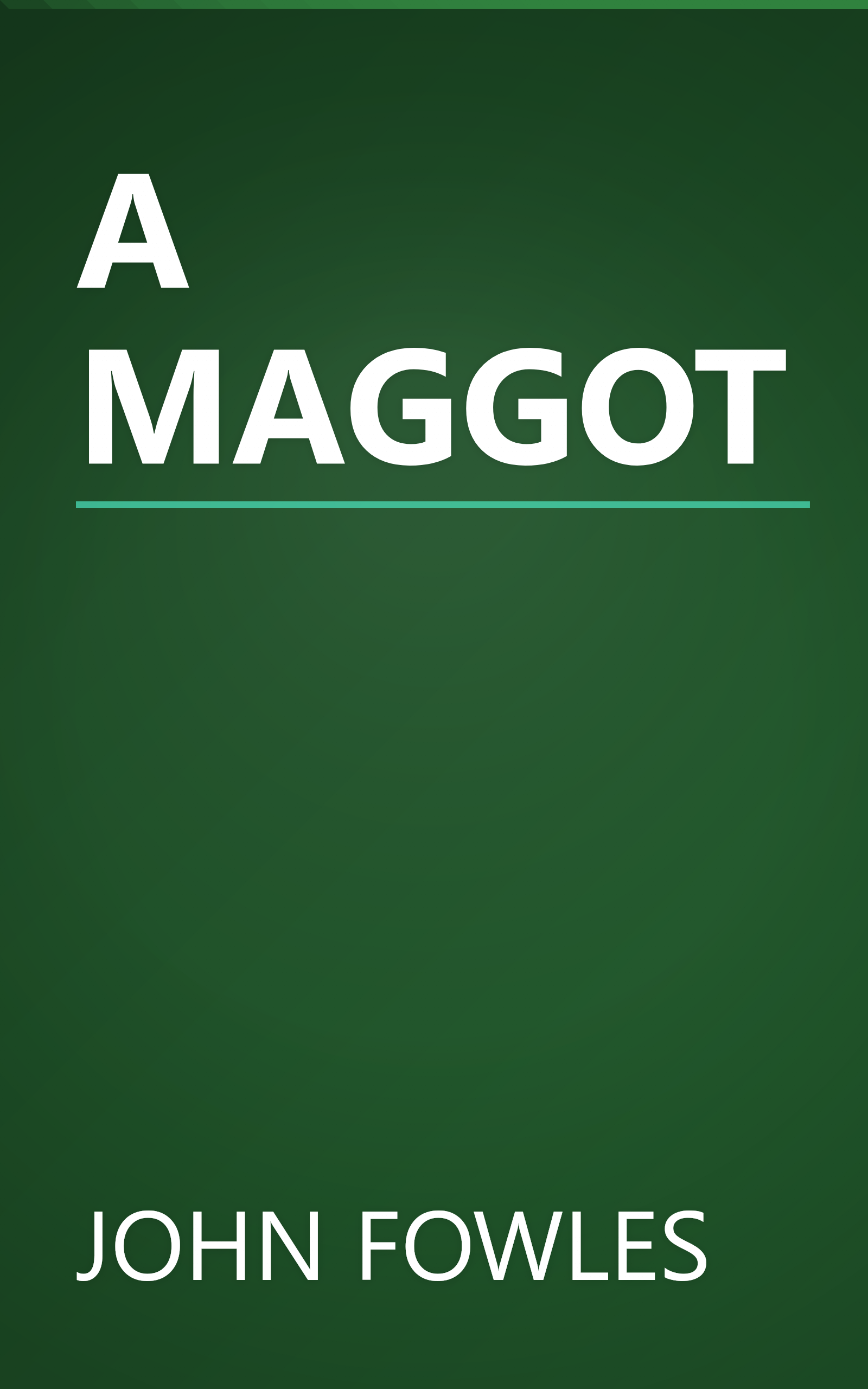 A MAGGOT book cover