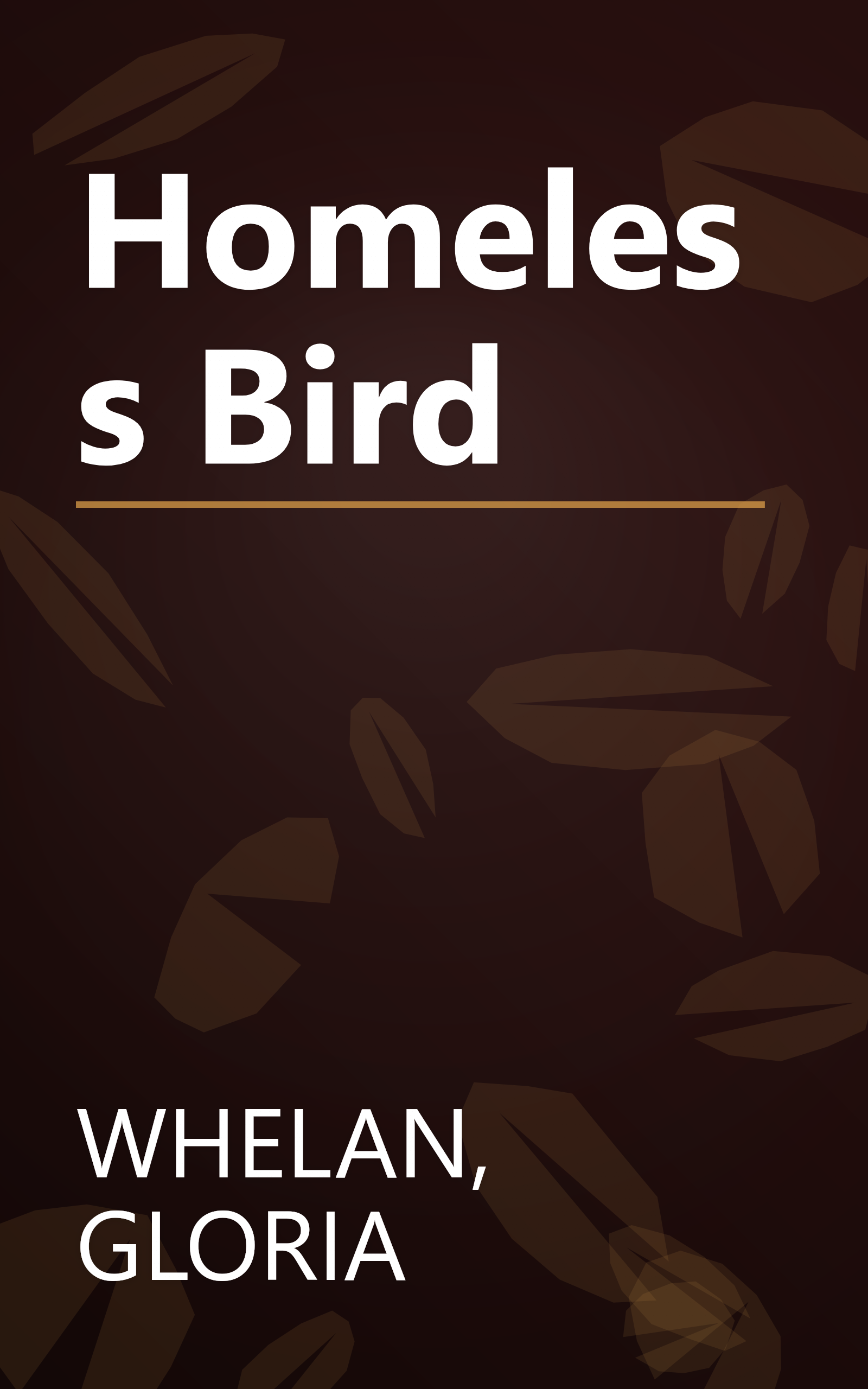 Homeless Bird book cover