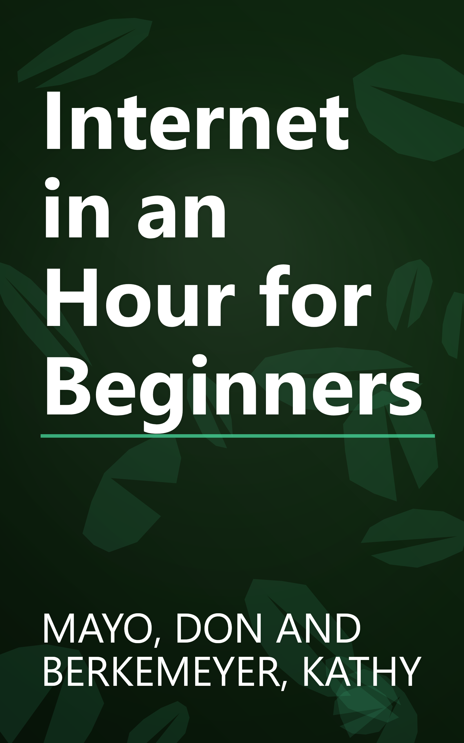 Internet in an Hour for Beginners book cover