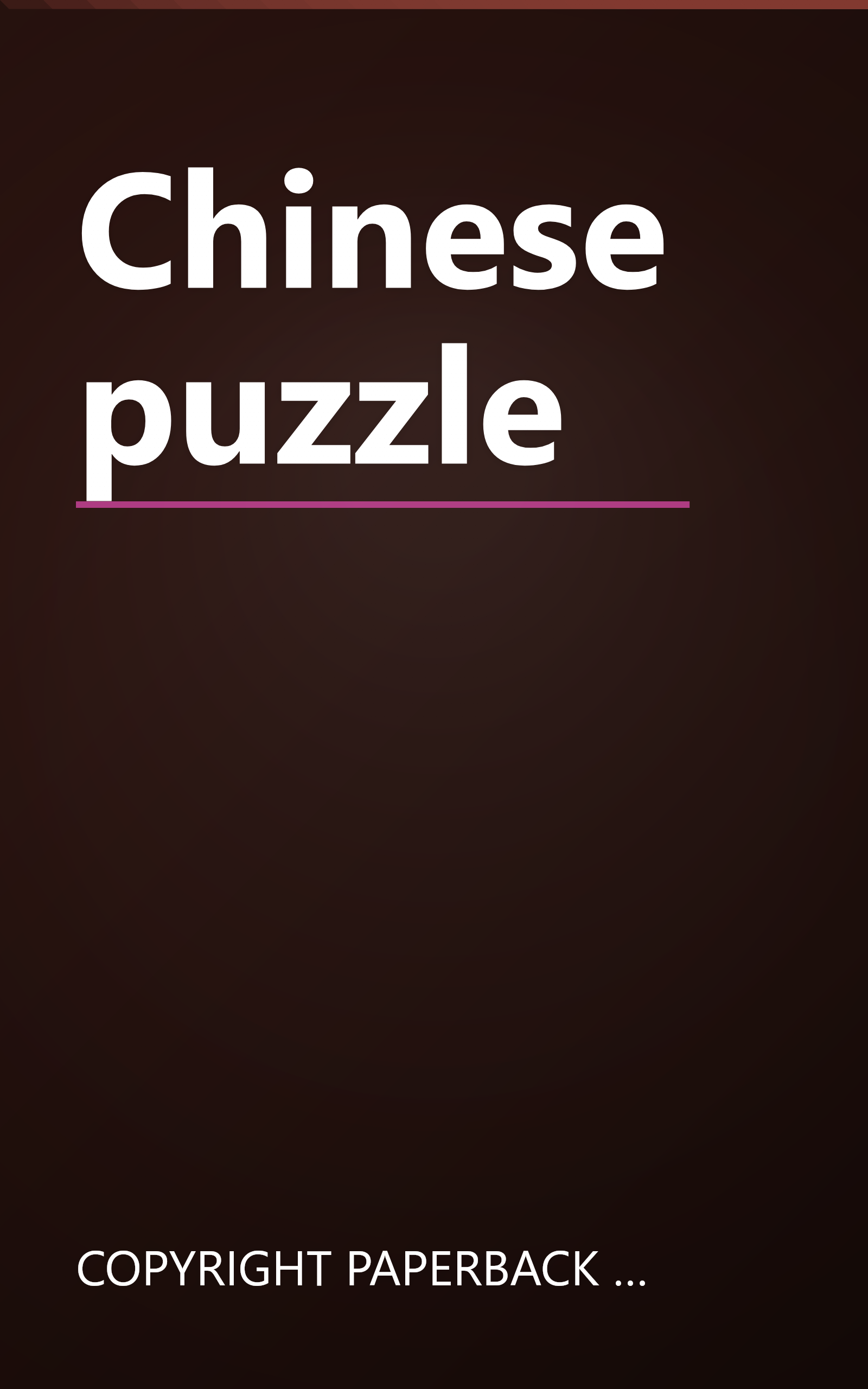 Chinese puzzle book cover