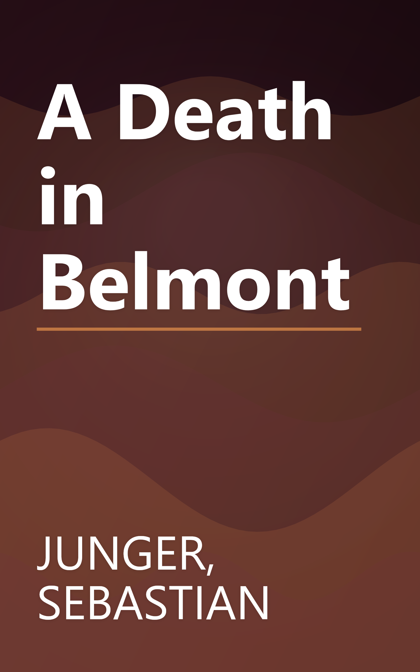 A Death in Belmont book cover