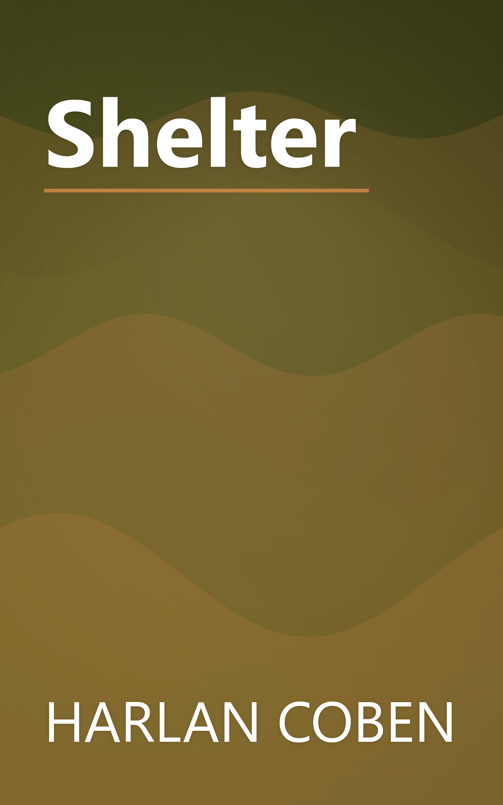 Shelter book cover
