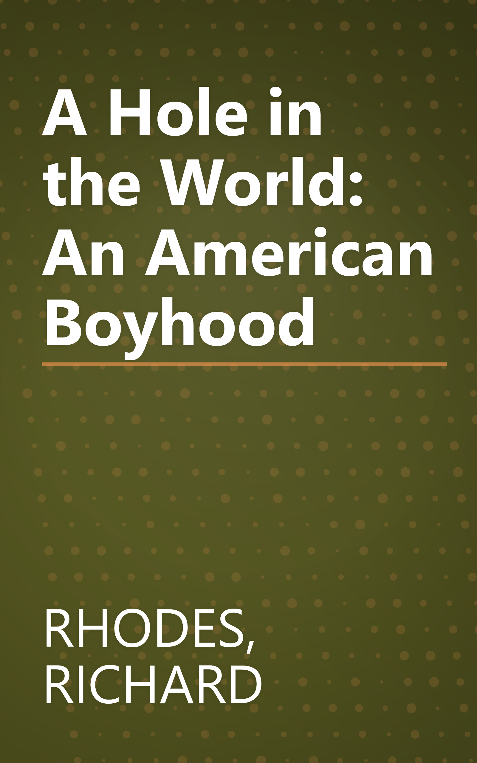 A Hole in the World: An American Boyhood book cover