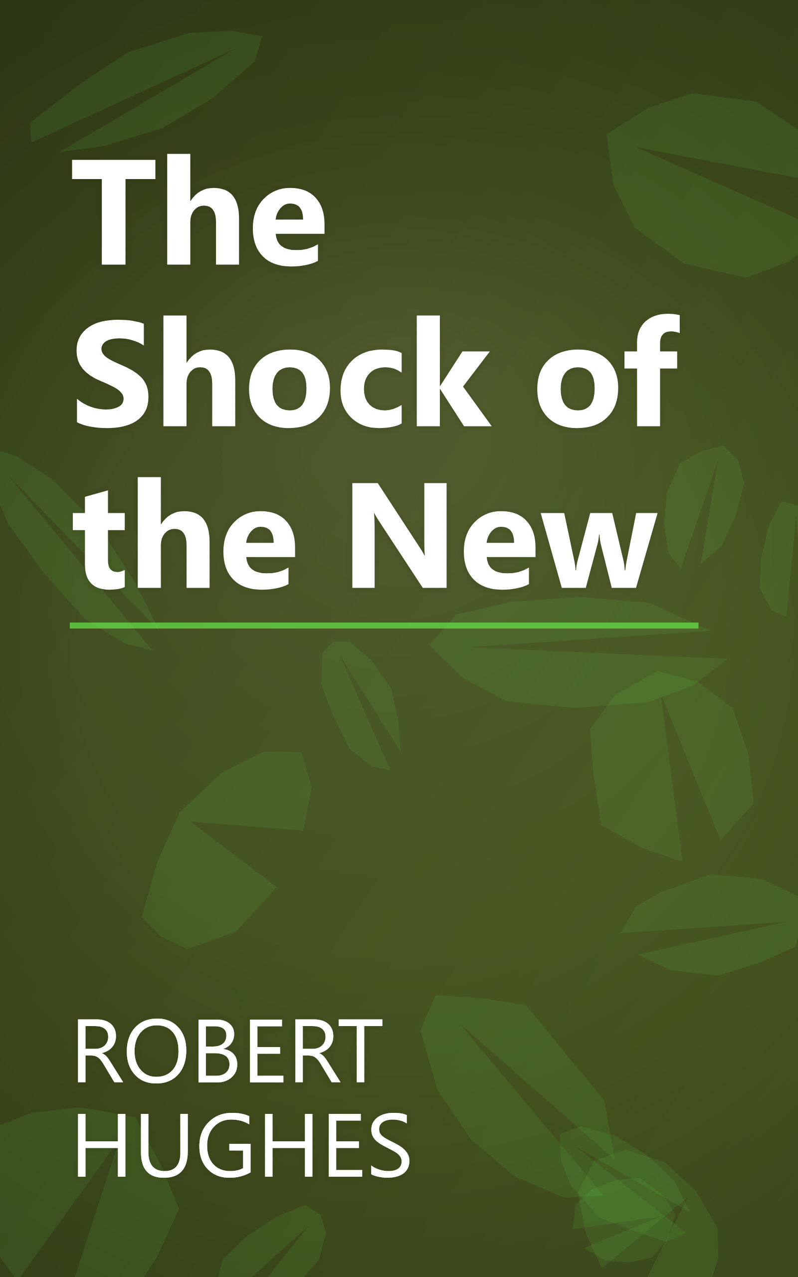 The Shock of the New book cover