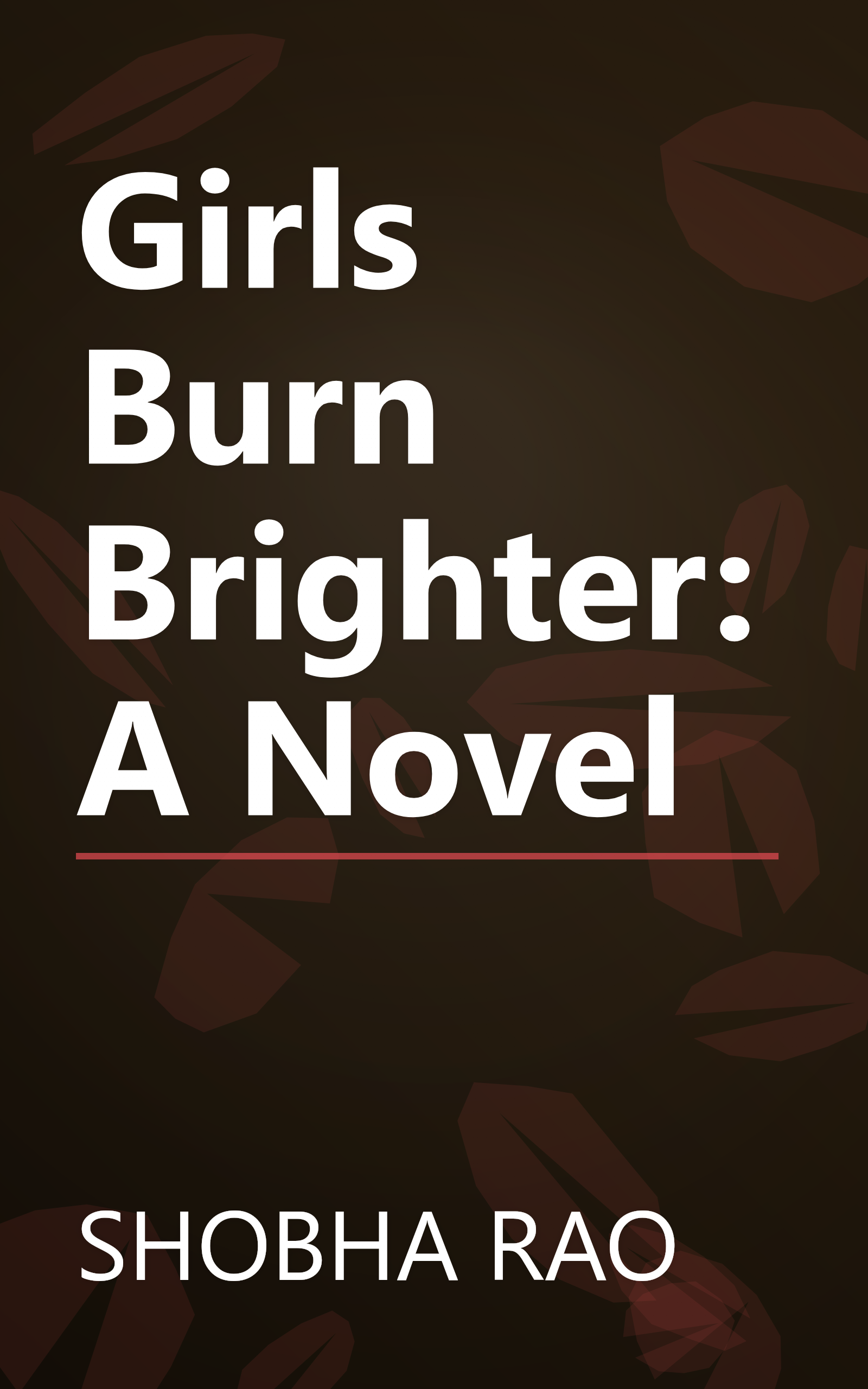 Girls Burn Brighter: A Novel book cover