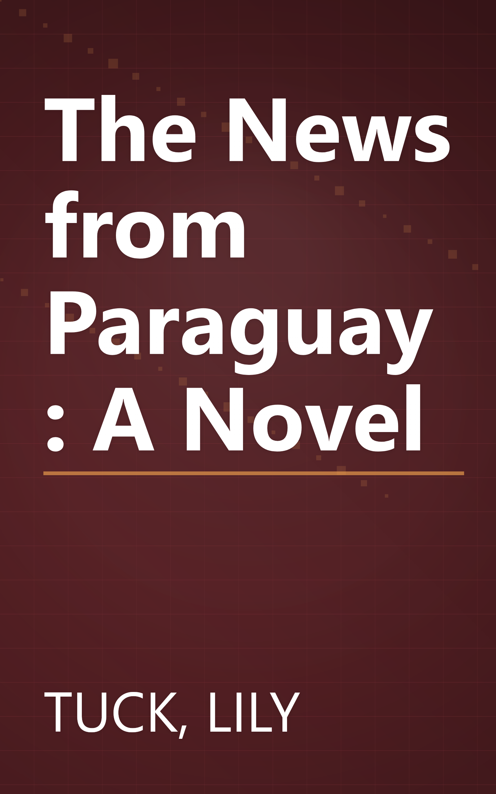 The News from Paraguay: A Novel book cover