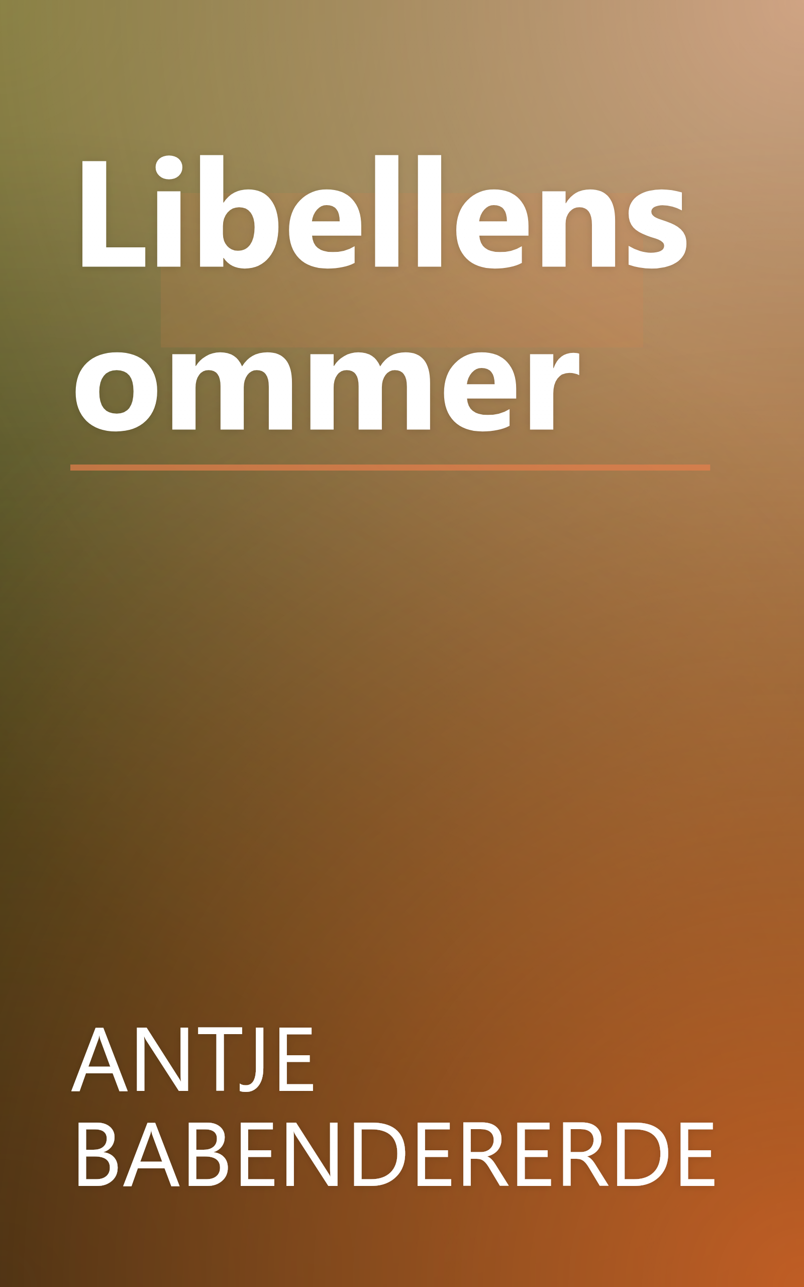 Libellensommer book cover