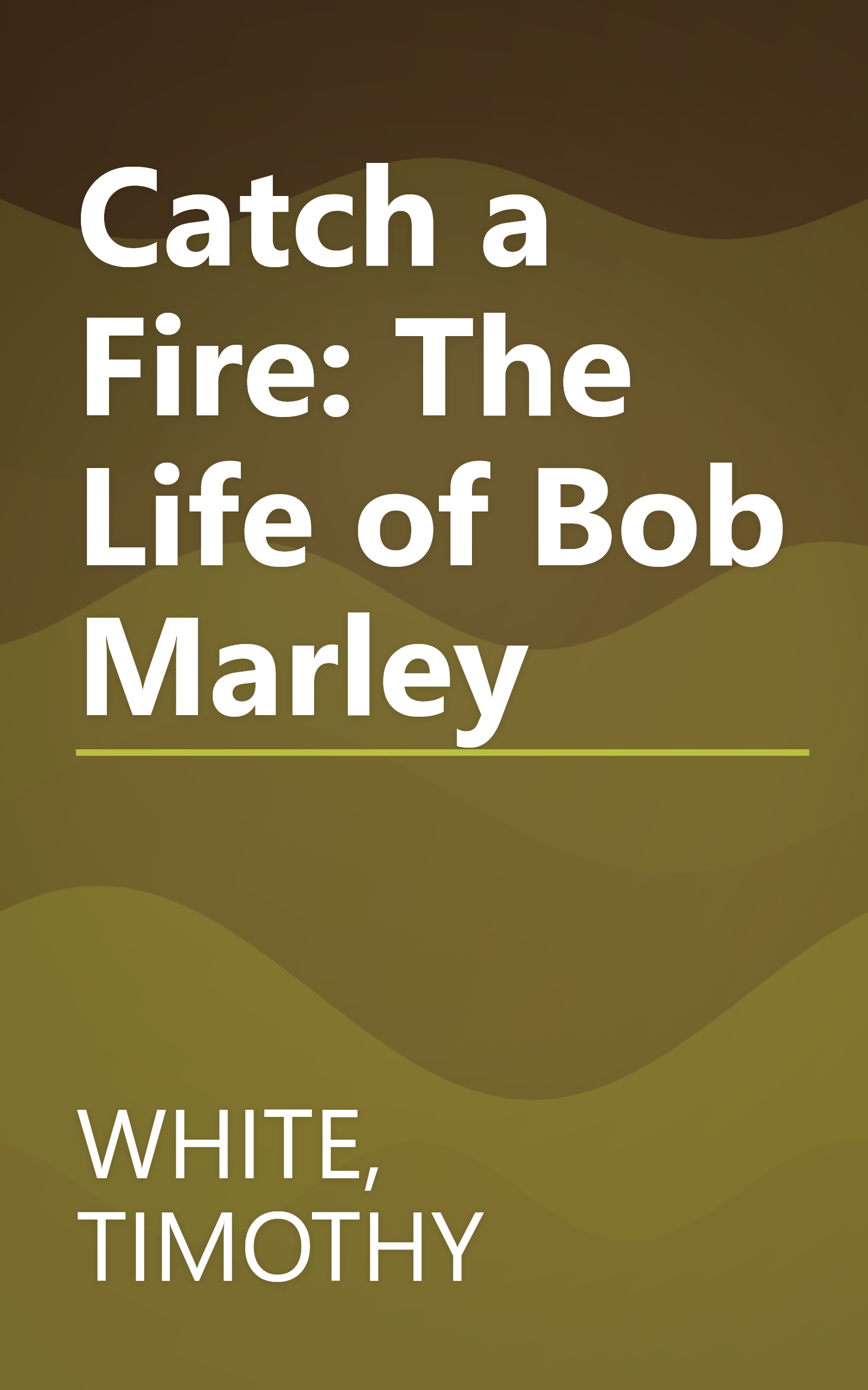 Catch a Fire: The Life of Bob Marley book cover