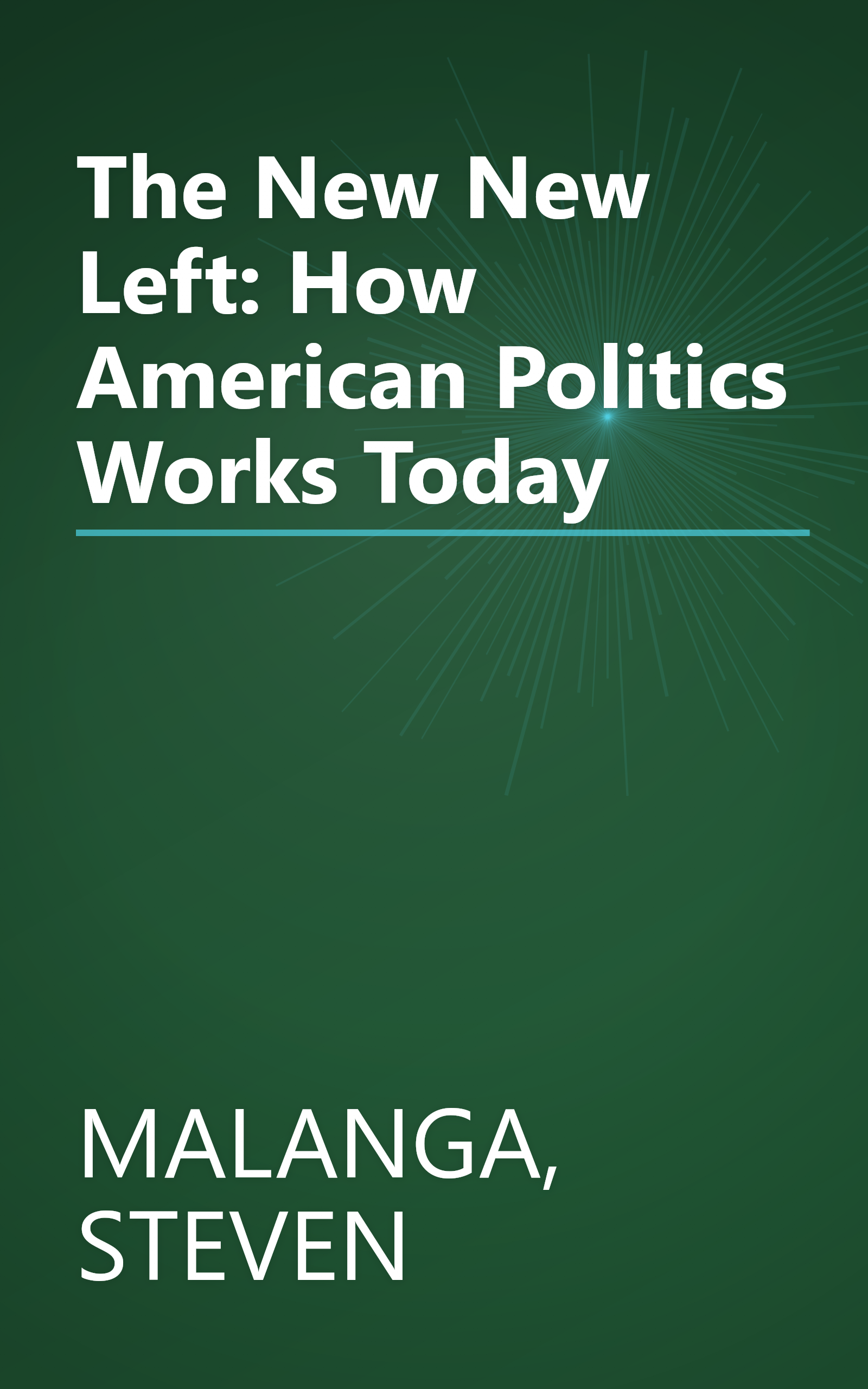The New New Left: How American Politics Works Today book cover