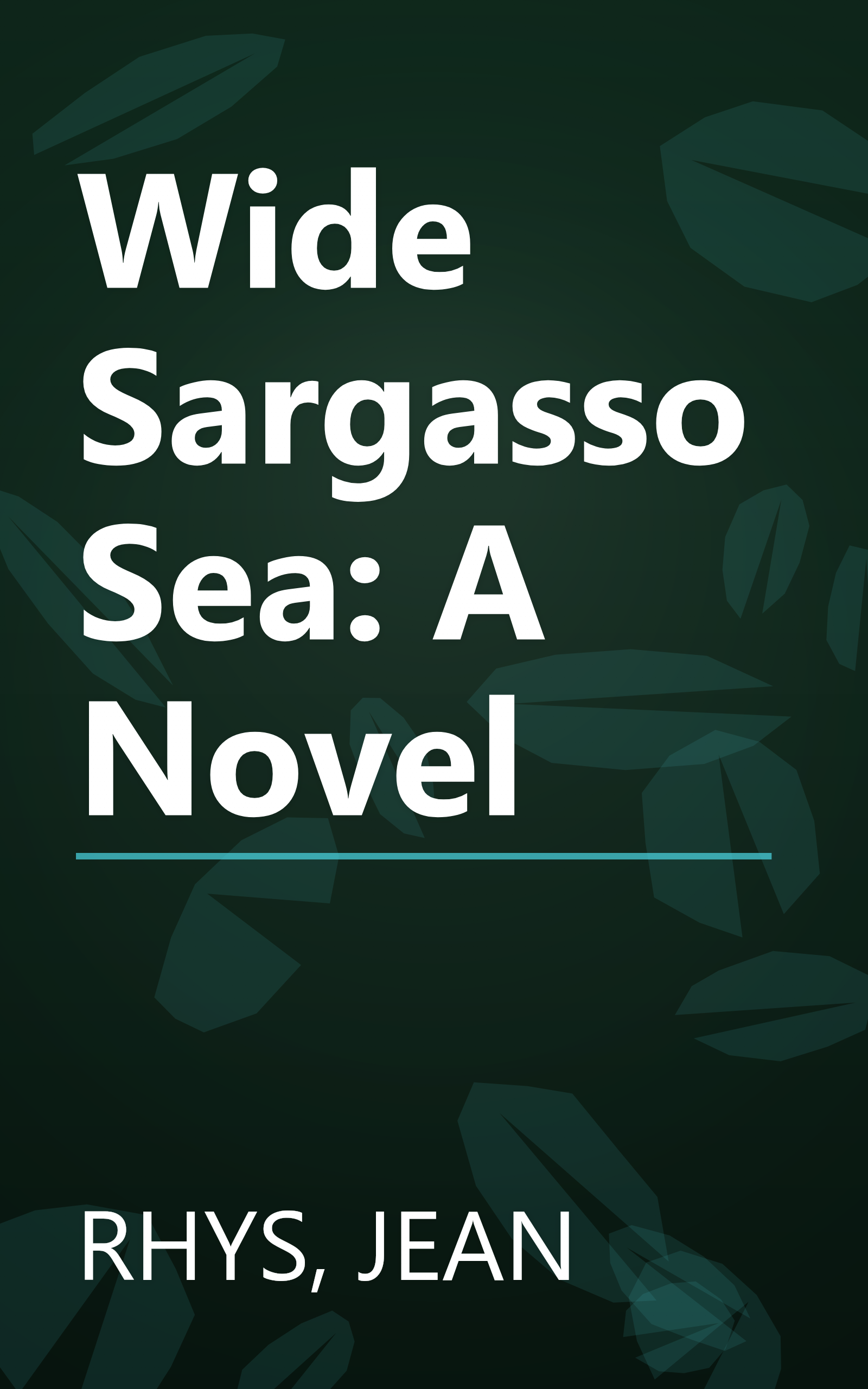 Wide Sargasso Sea: A Novel book cover