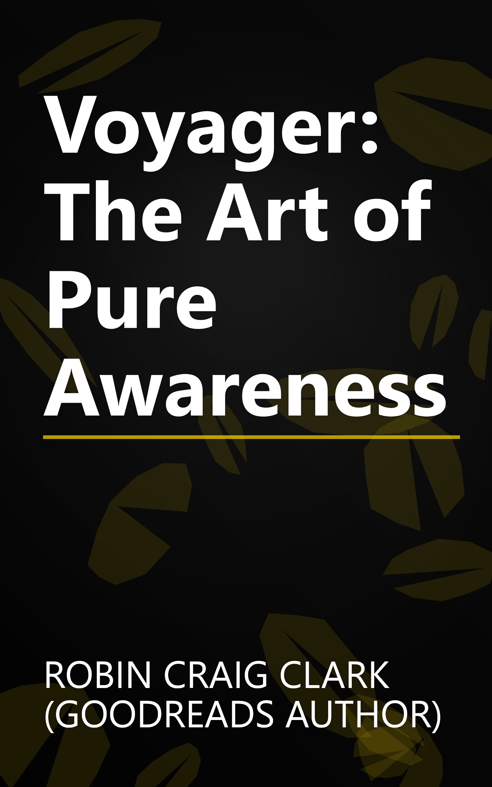 Voyager: The Art of Pure Awareness book cover