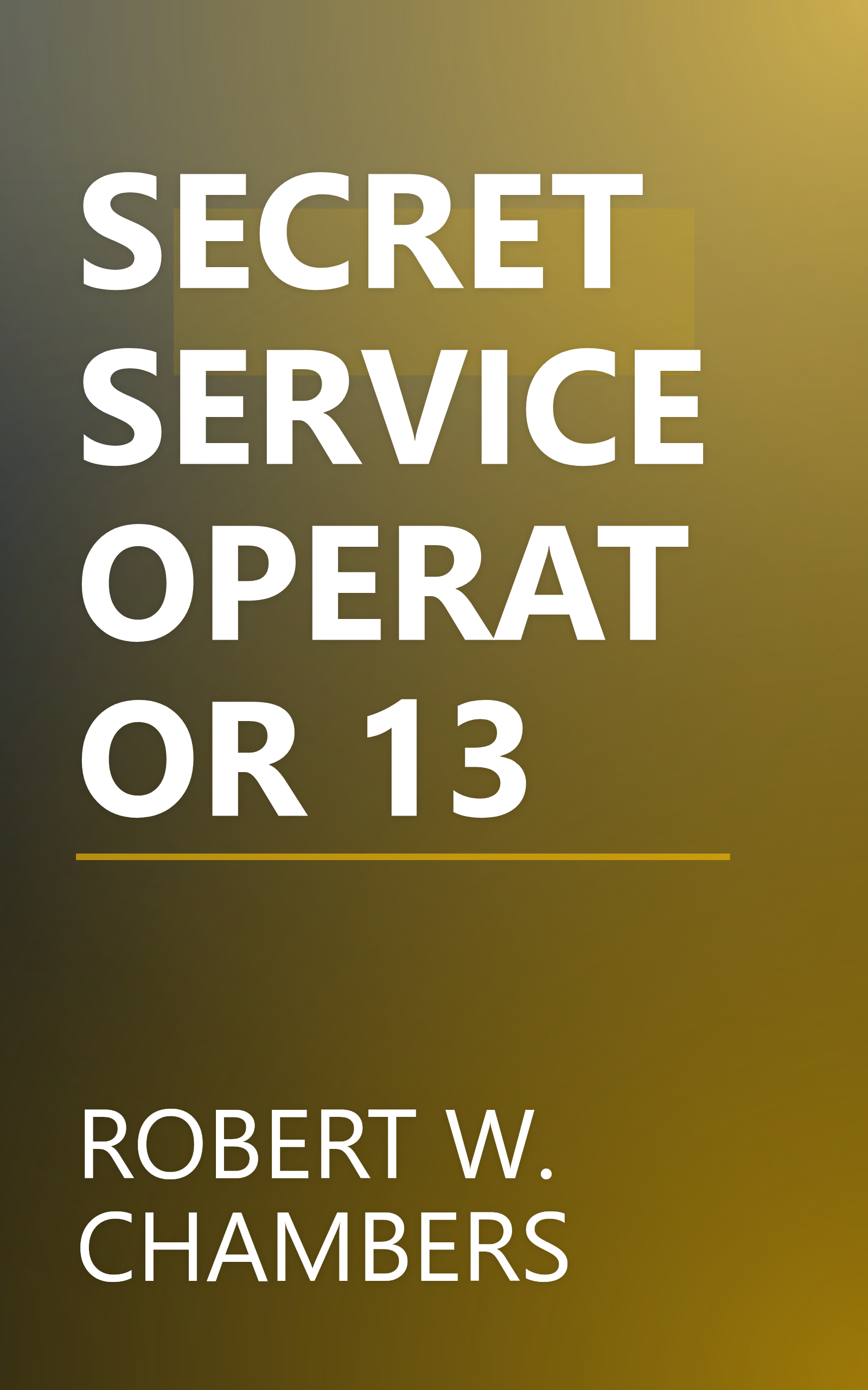 SECRET SERVICE OPERATOR 13 book cover