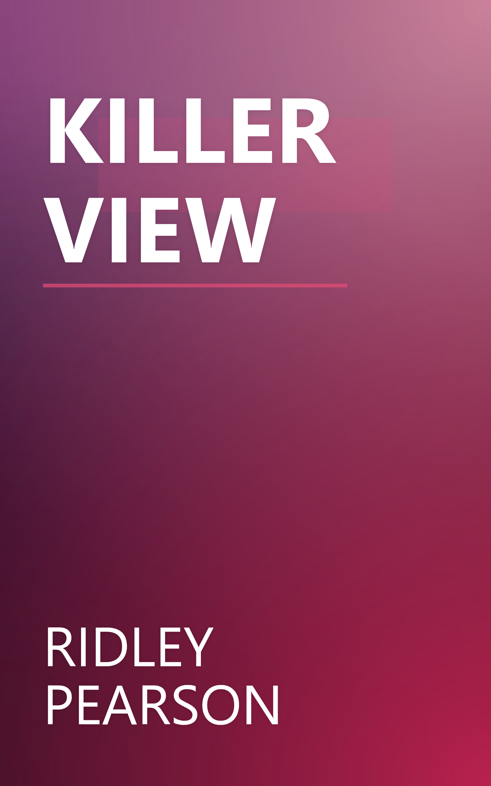 KILLER VIEW book cover