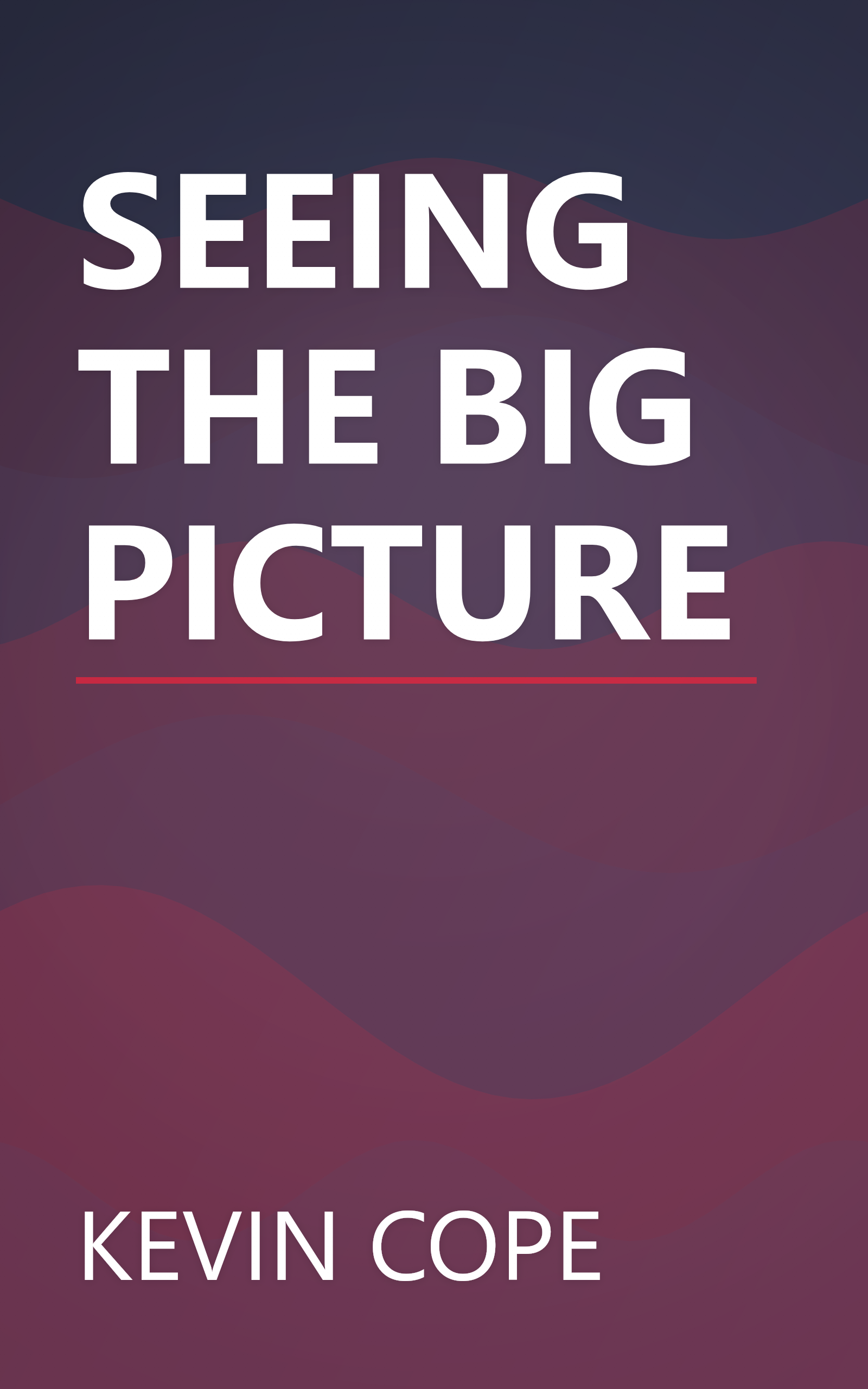 SEEING THE BIG PICTURE book cover