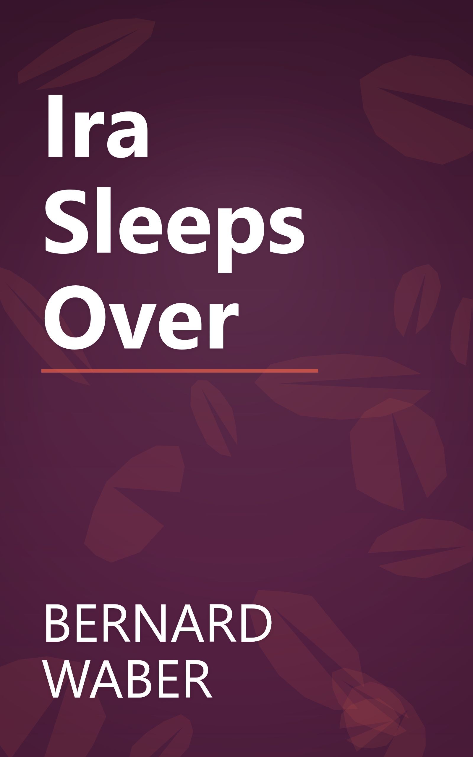 Ira Sleeps Over book cover