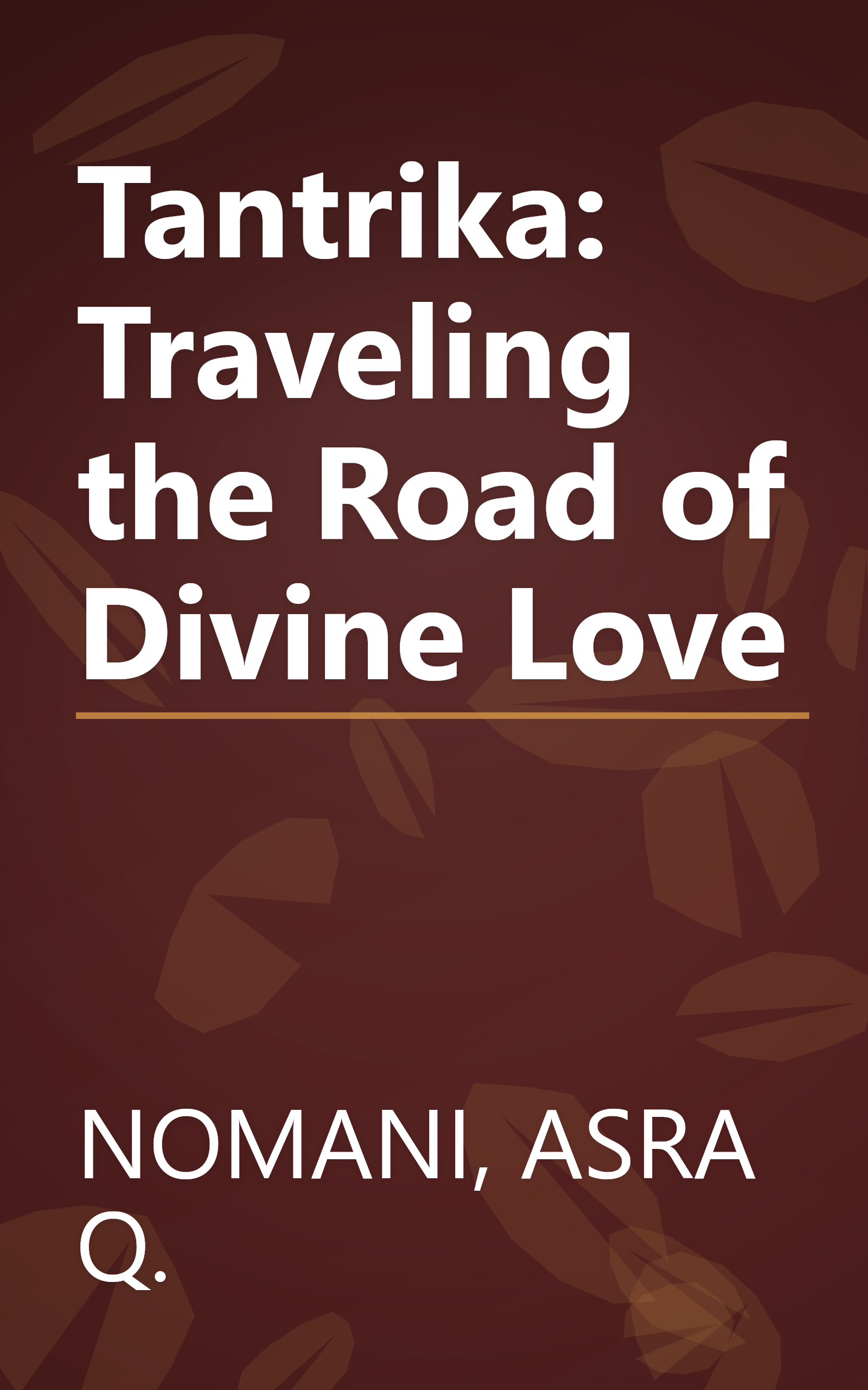 Tantrika: Traveling the Road of Divine Love book cover