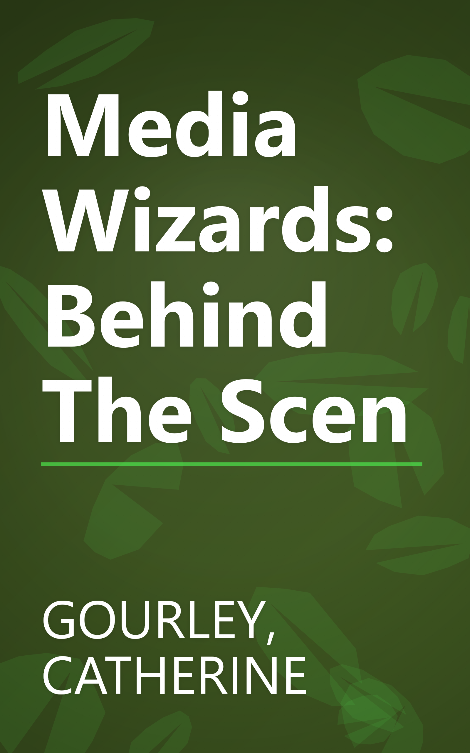 Media Wizards: Behind The Scen book cover