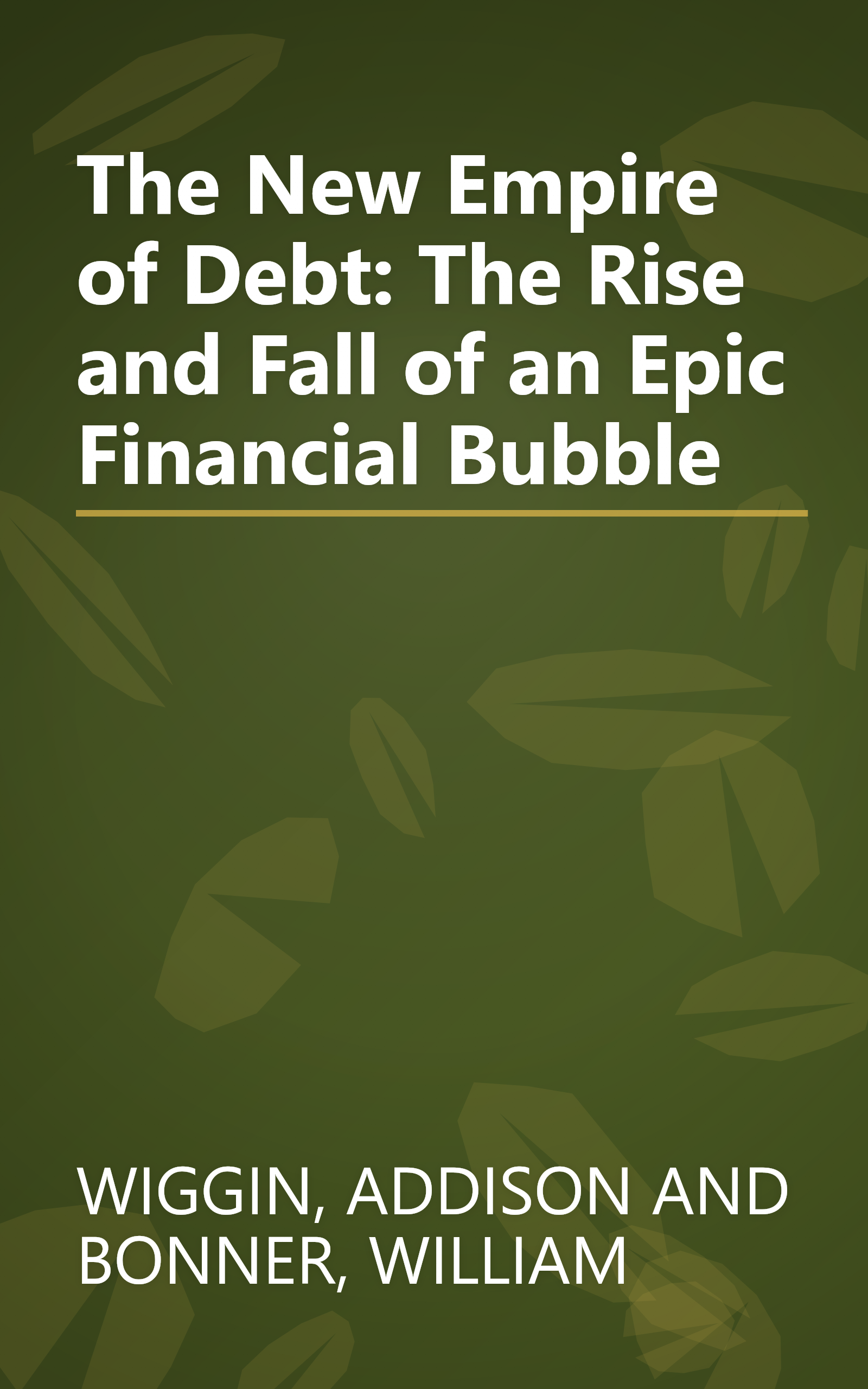 The New Empire of Debt: The Rise and Fall of an Epic Financial Bubble book cover