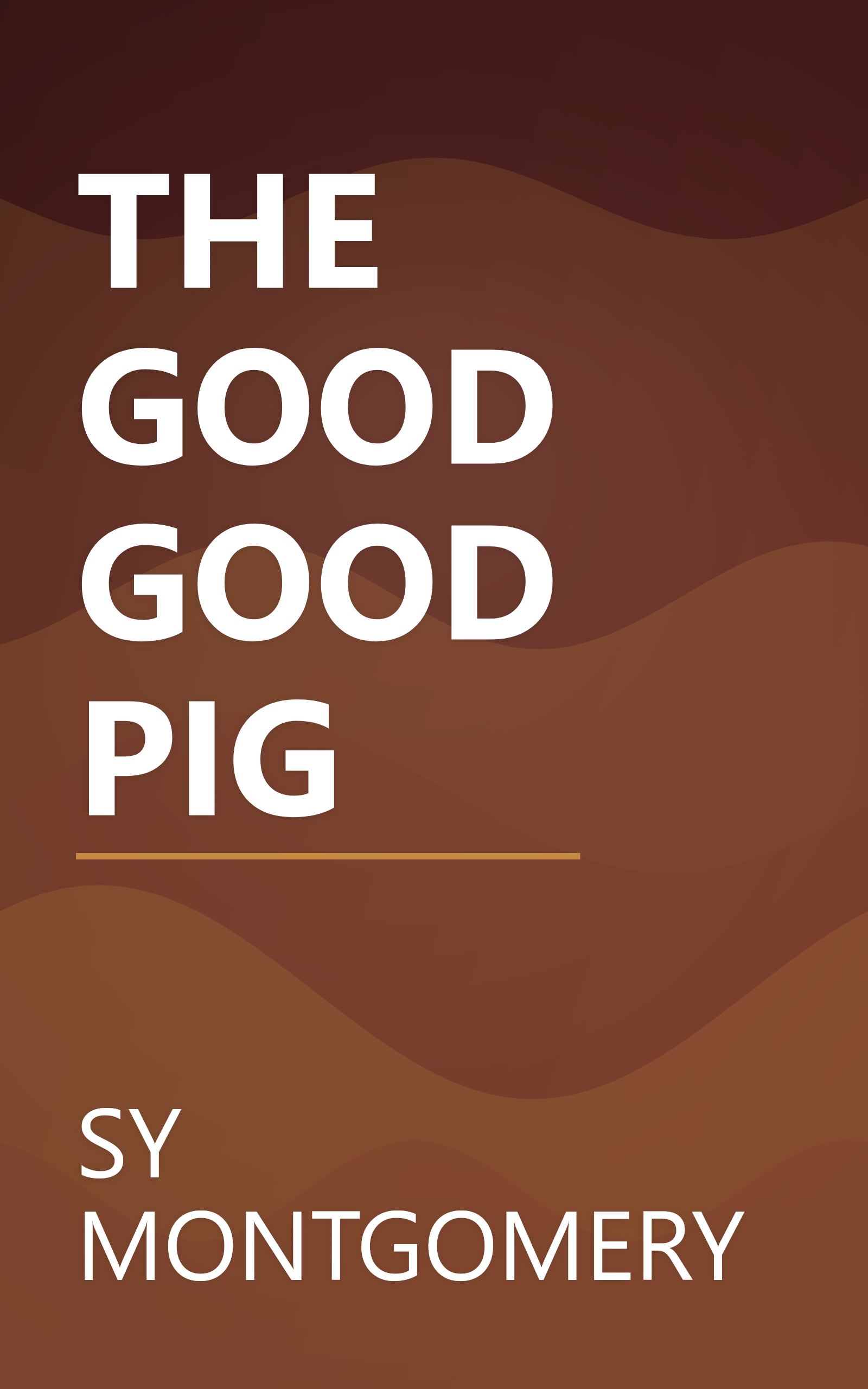 THE GOOD GOOD PIG book cover