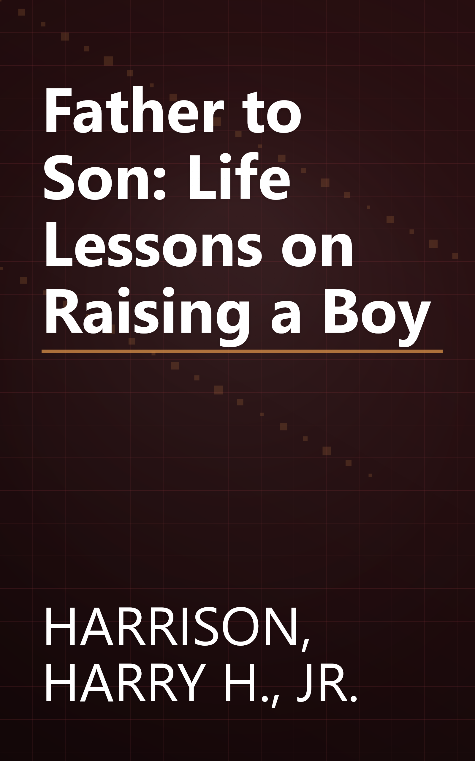 Father to Son: Life Lessons on Raising a Boy book cover