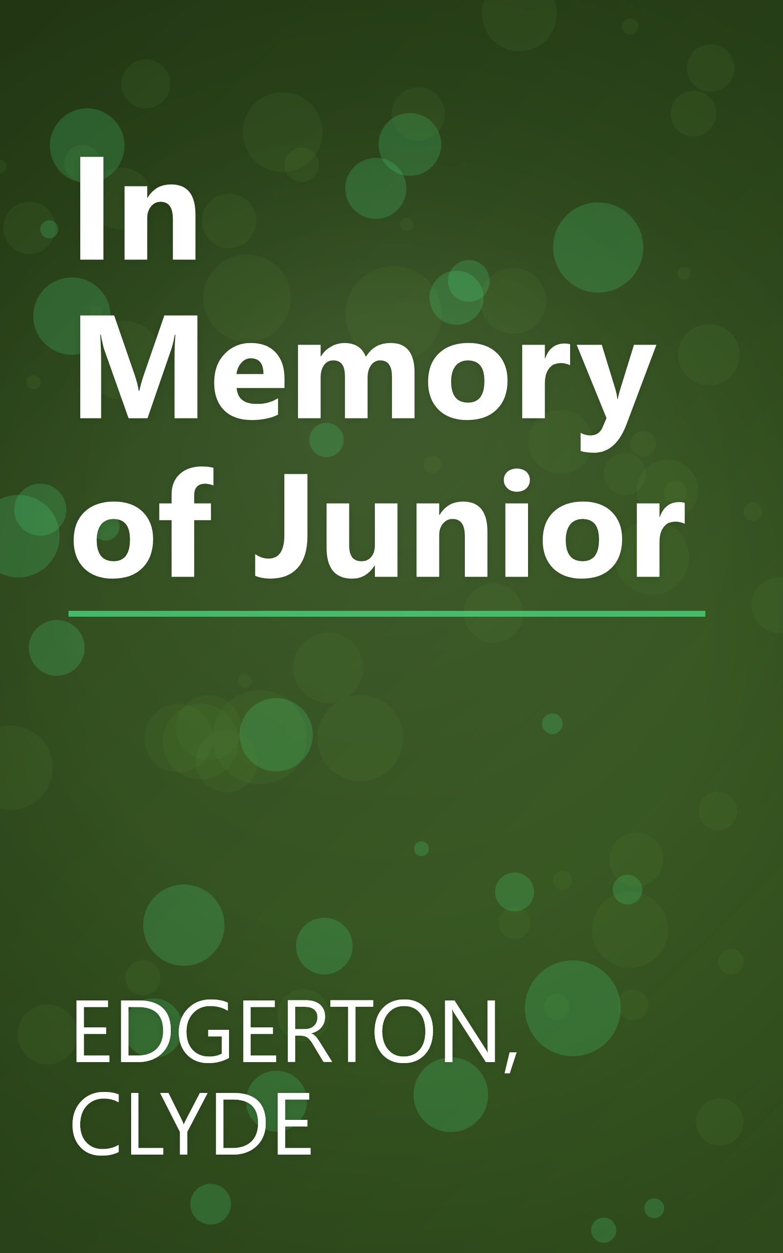 In Memory of Junior book cover