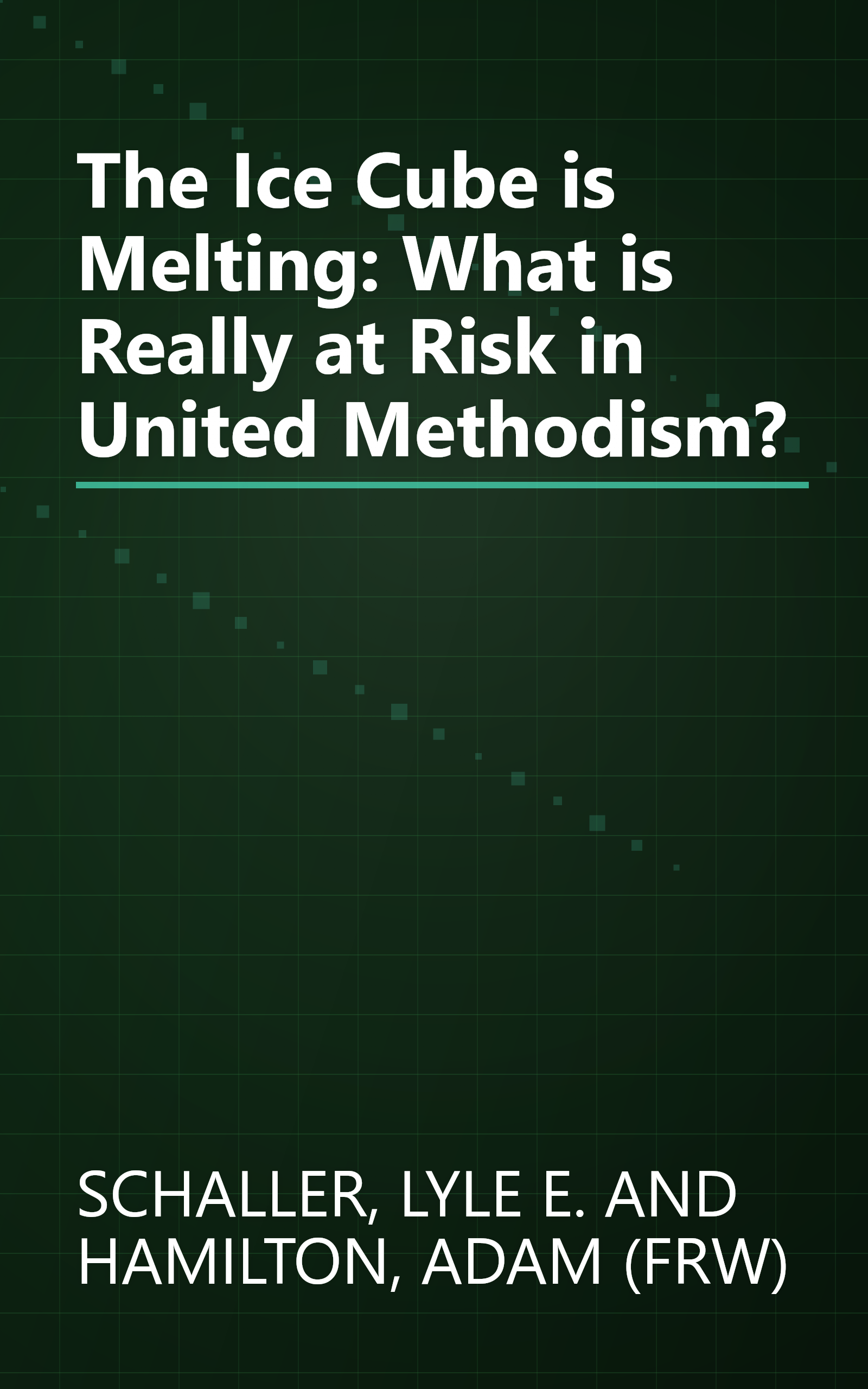 The Ice Cube is Melting: What is Really at Risk in United Methodism? book cover