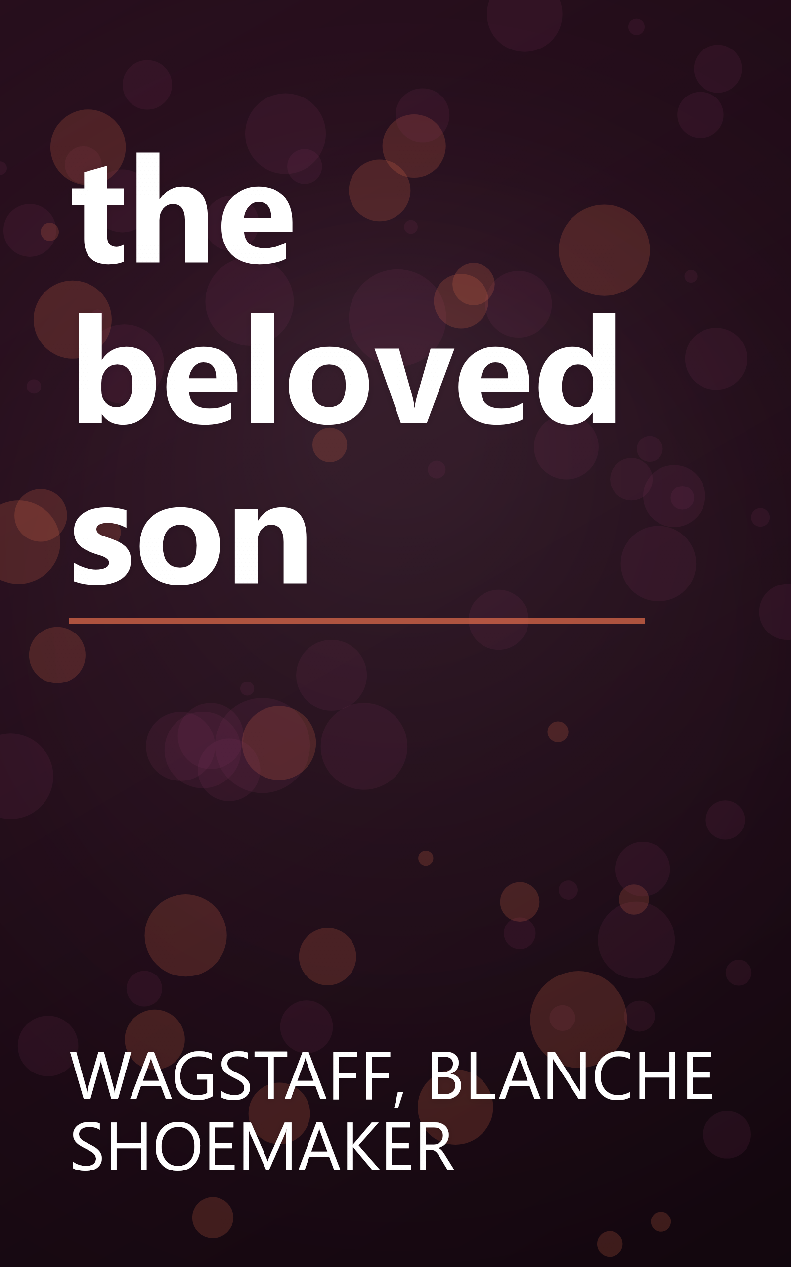 the beloved son book cover