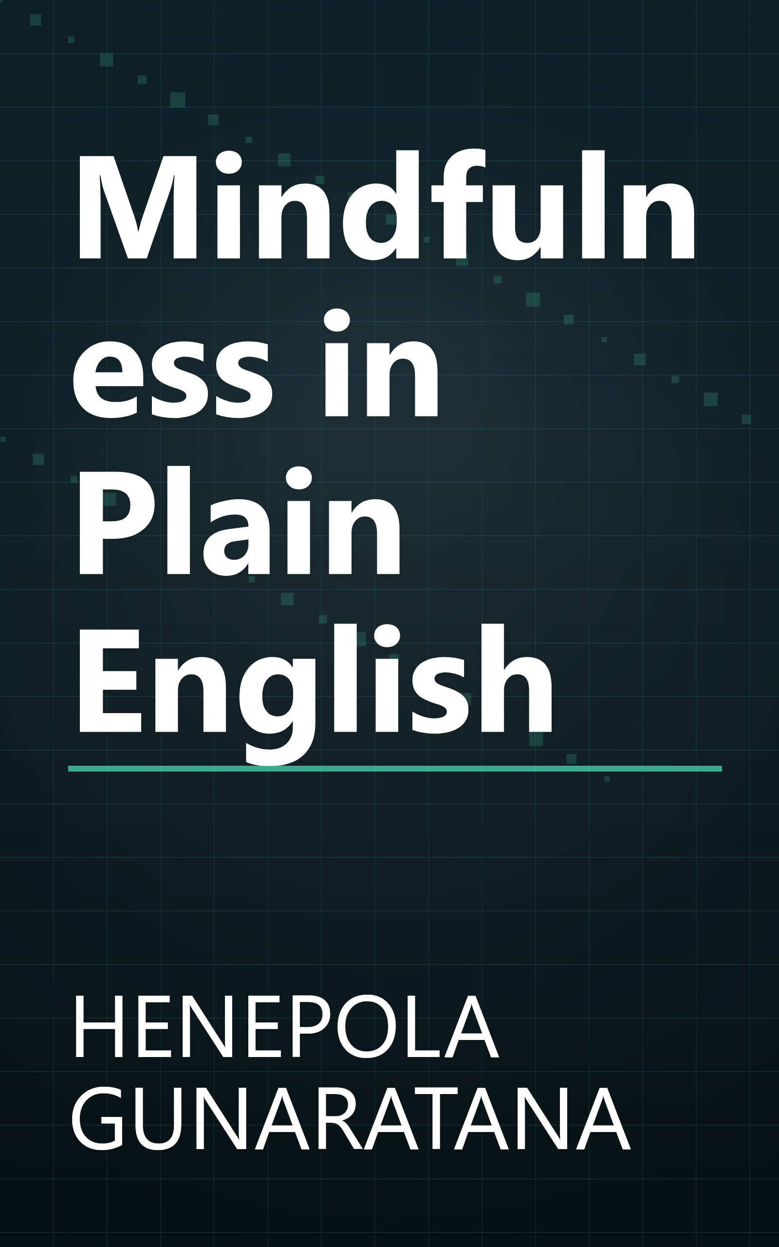 Mindfulness in Plain English book cover