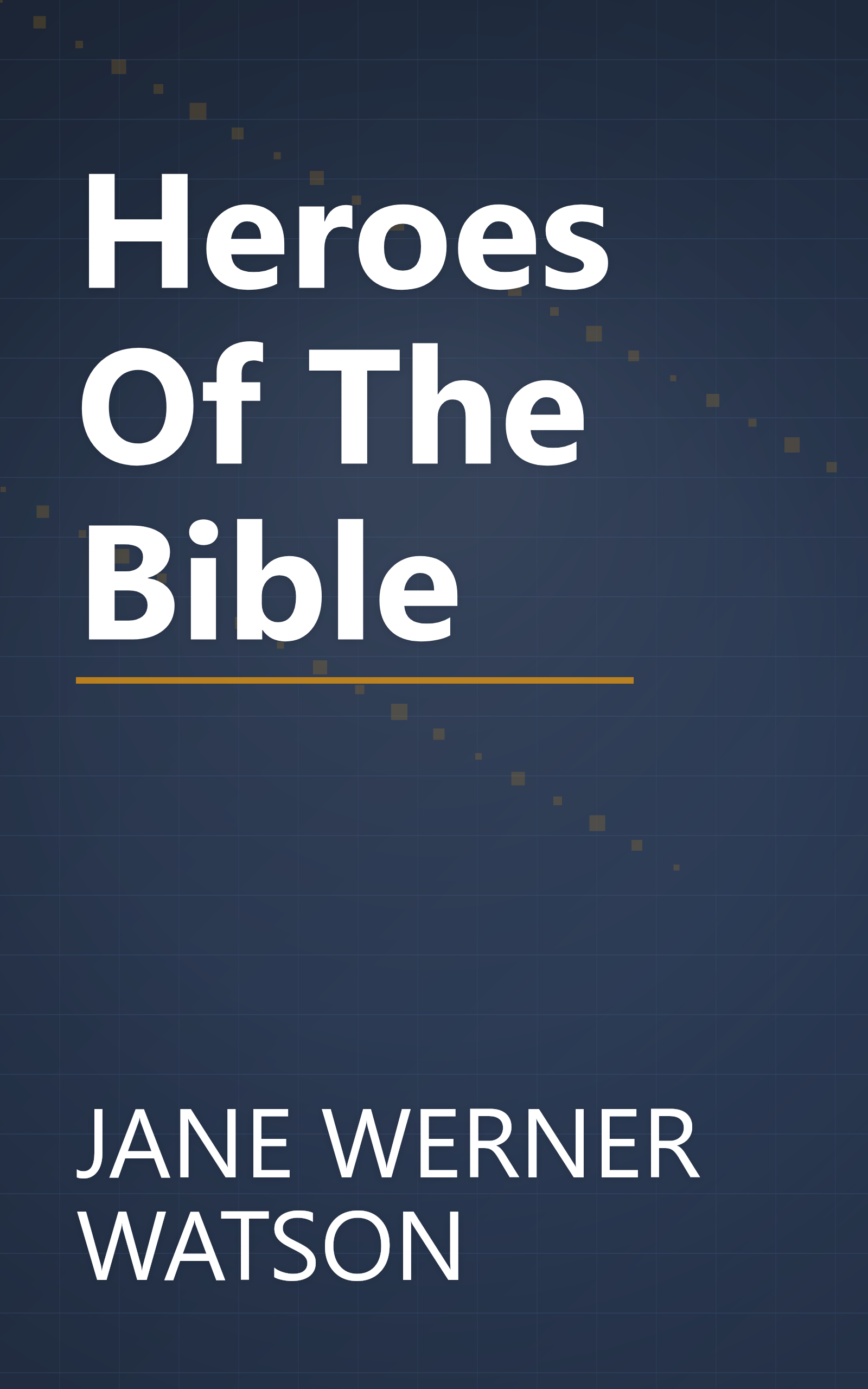 Heroes Of The Bible book cover