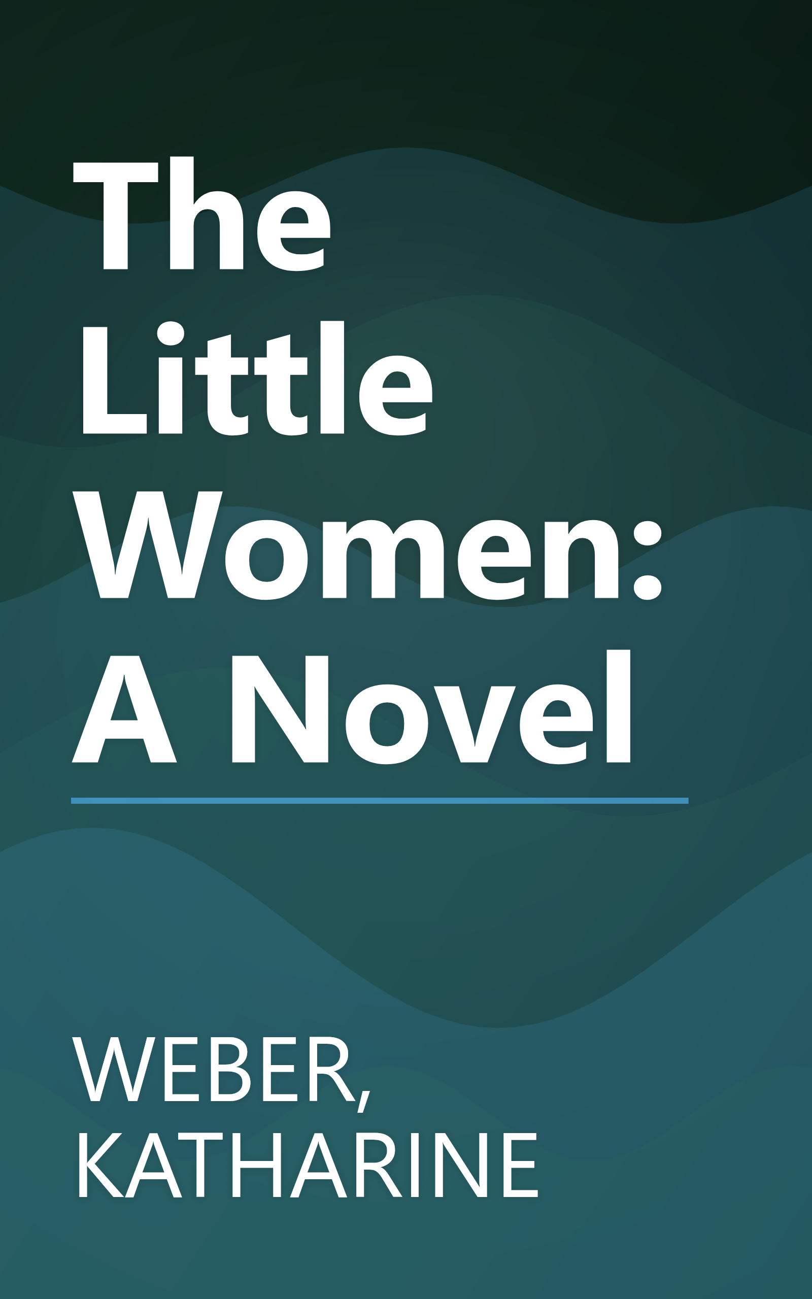 The Little Women: A Novel book cover