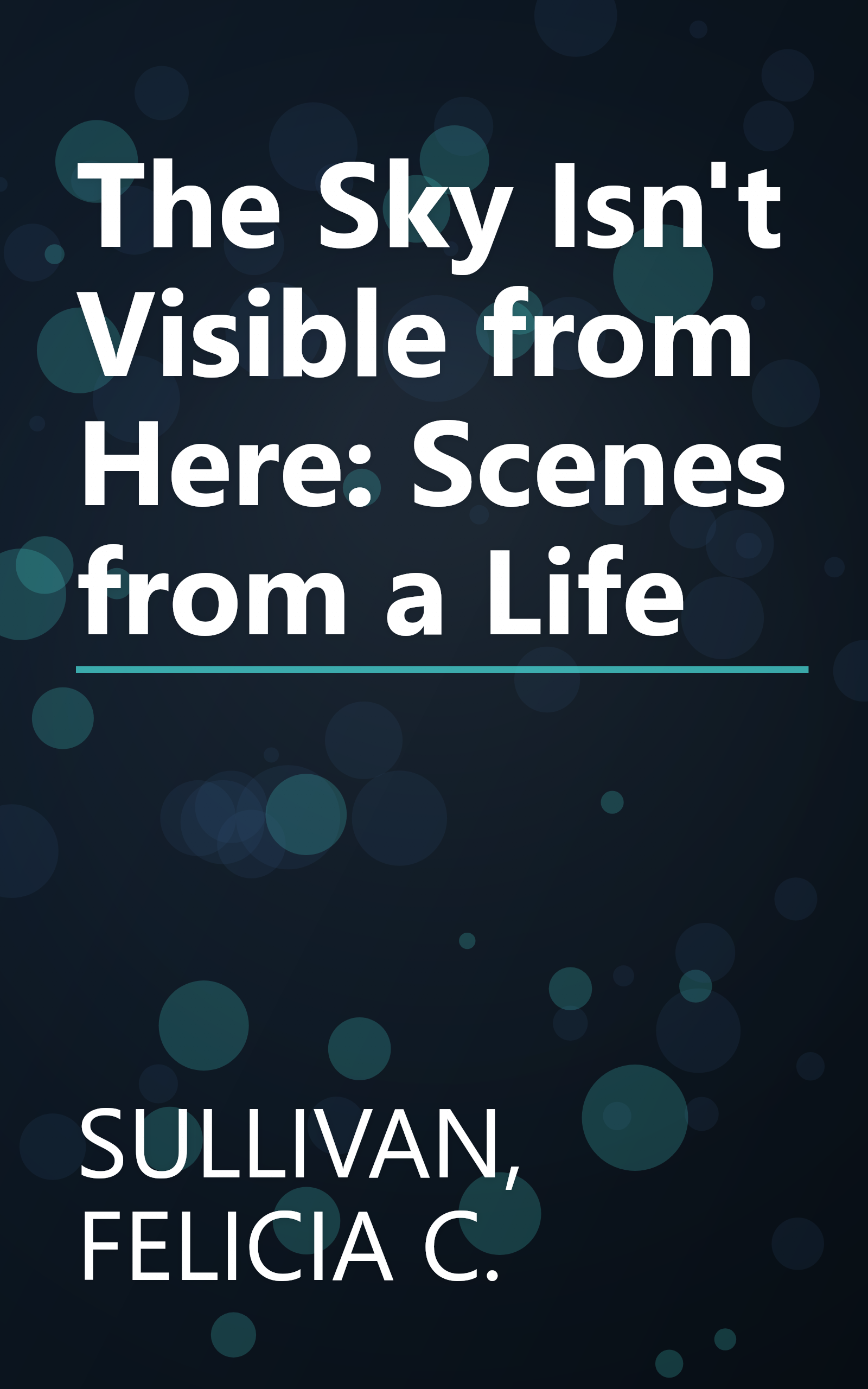 The Sky Isn't Visible from Here: Scenes from a Life book cover
