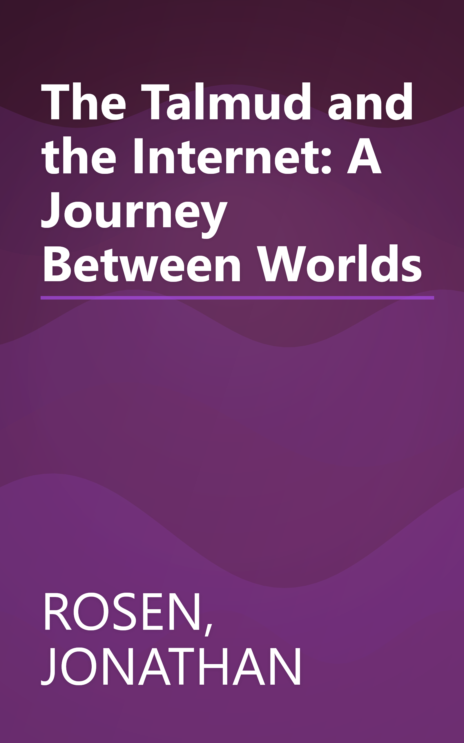 The Talmud and the Internet: A Journey Between Worlds book cover