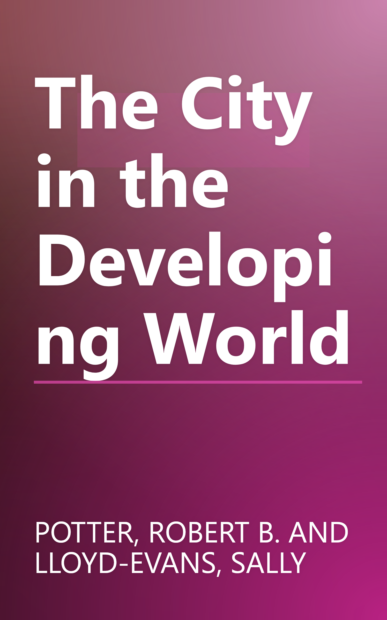 The City in the Developing World book cover
