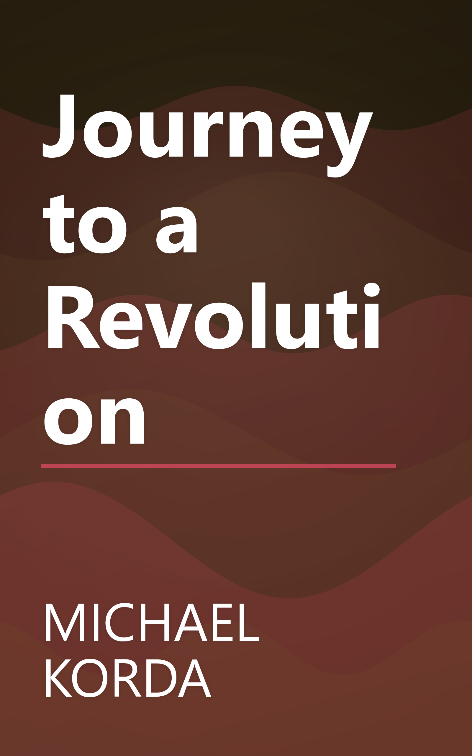 Journey to a Revolution book cover