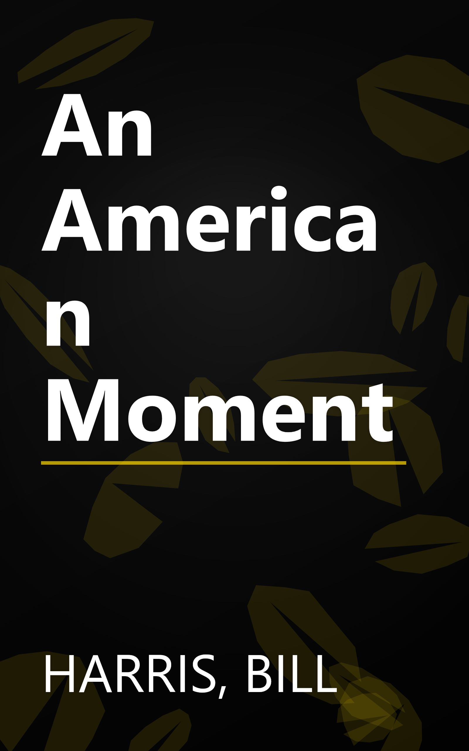 An American Moment book cover