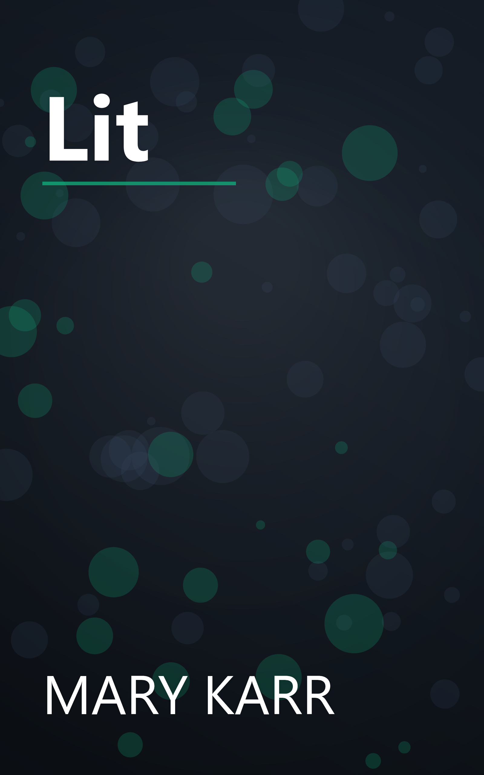 Lit book cover