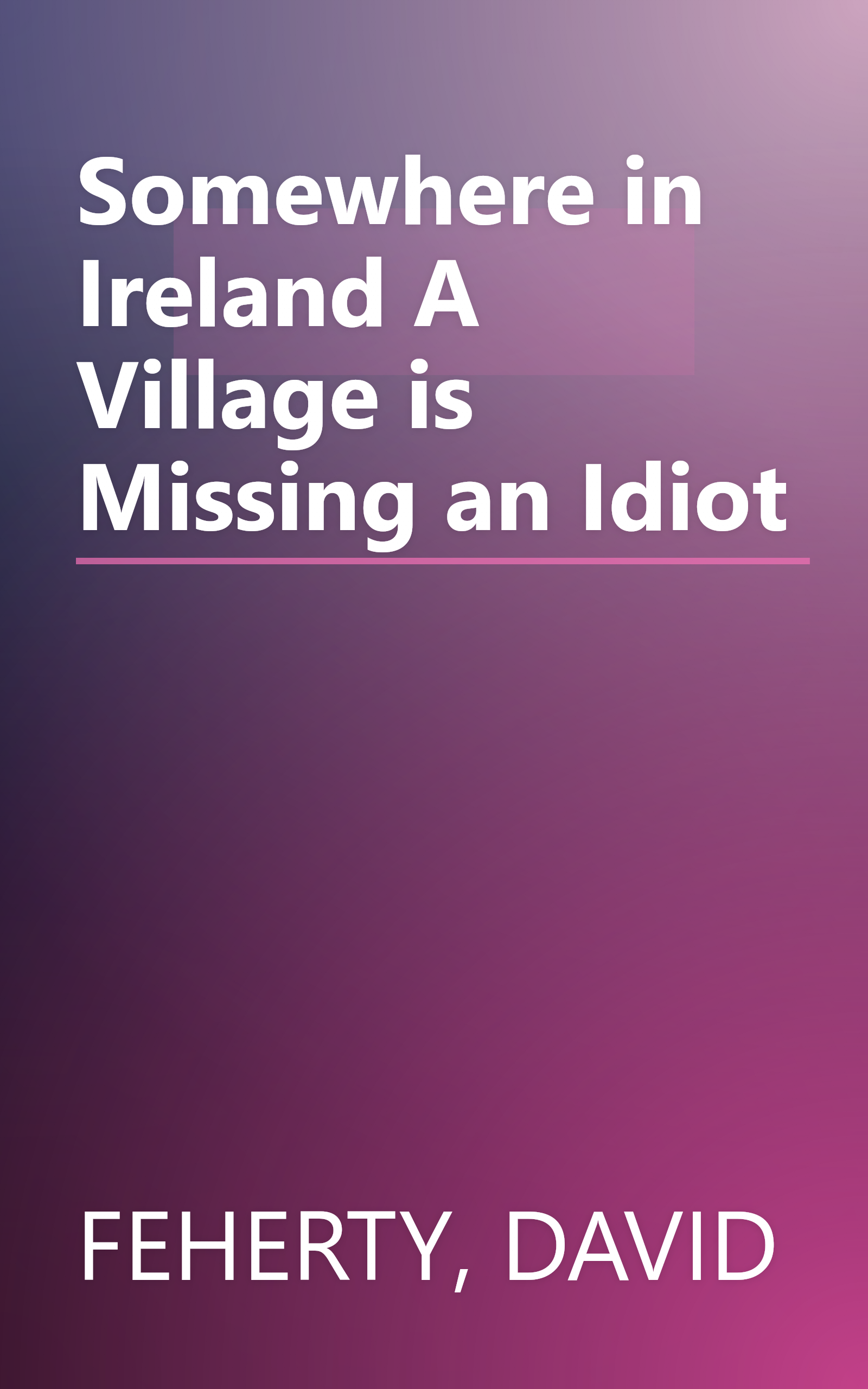 Somewhere in Ireland A Village is Missing an Idiot book cover