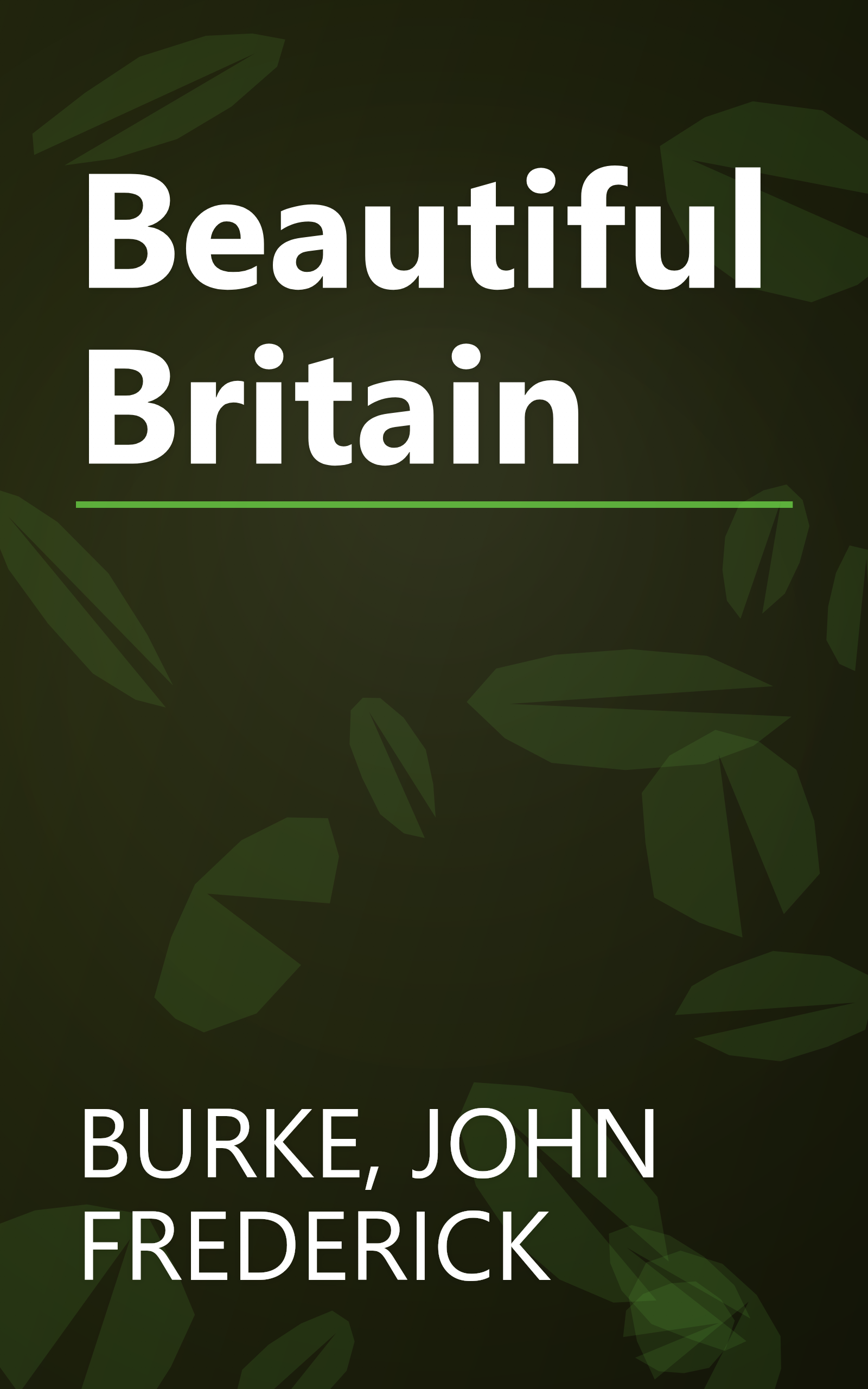 Beautiful Britain book cover