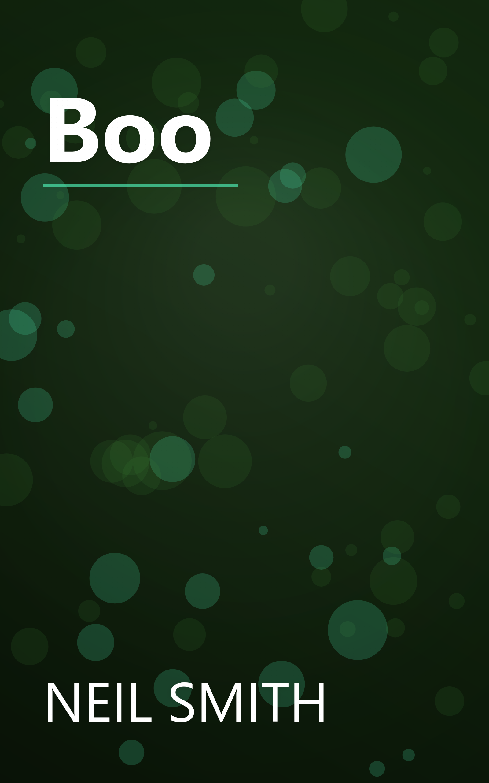 Boo book cover