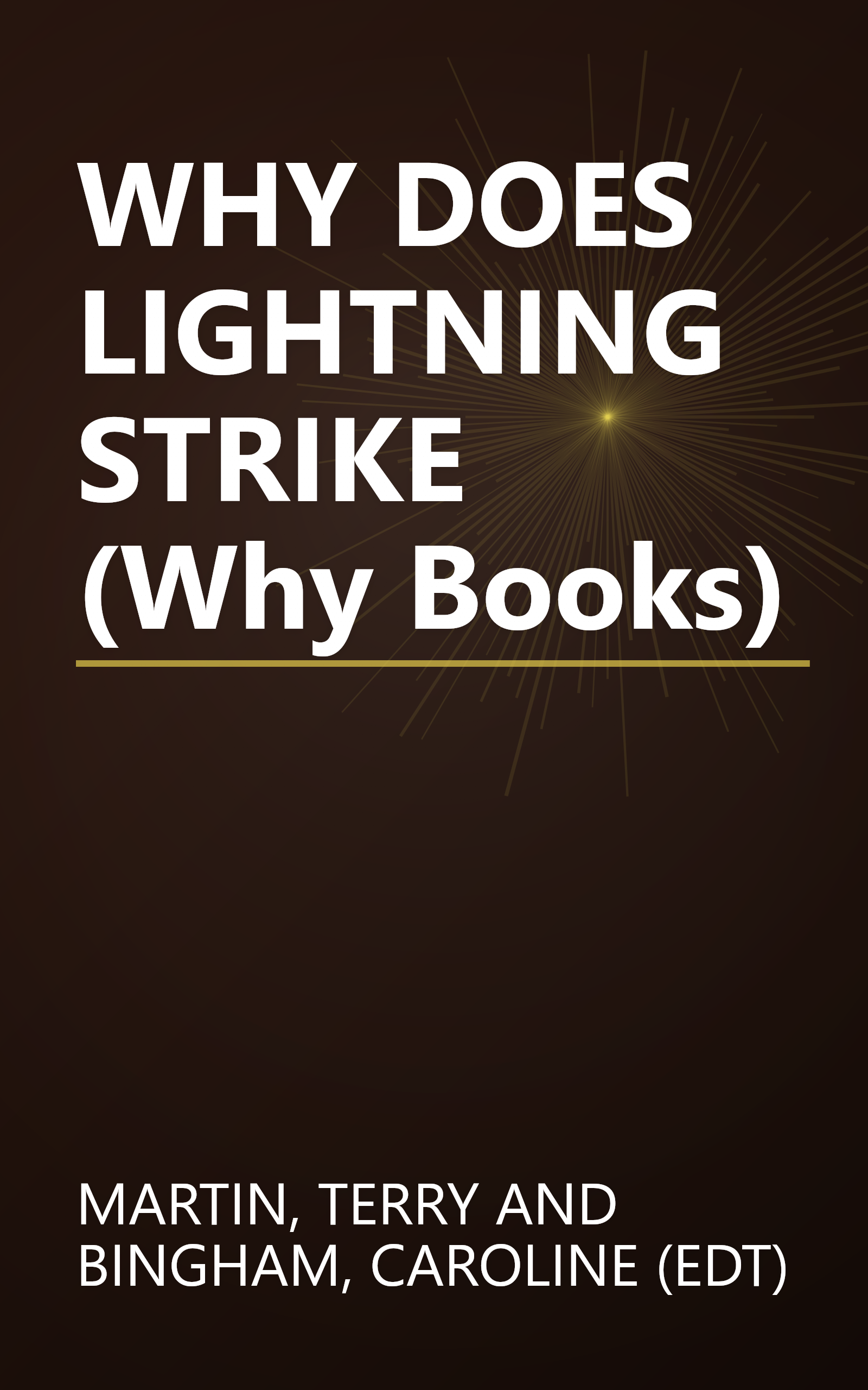 WHY DOES LIGHTNING STRIKE (Why Books) book cover