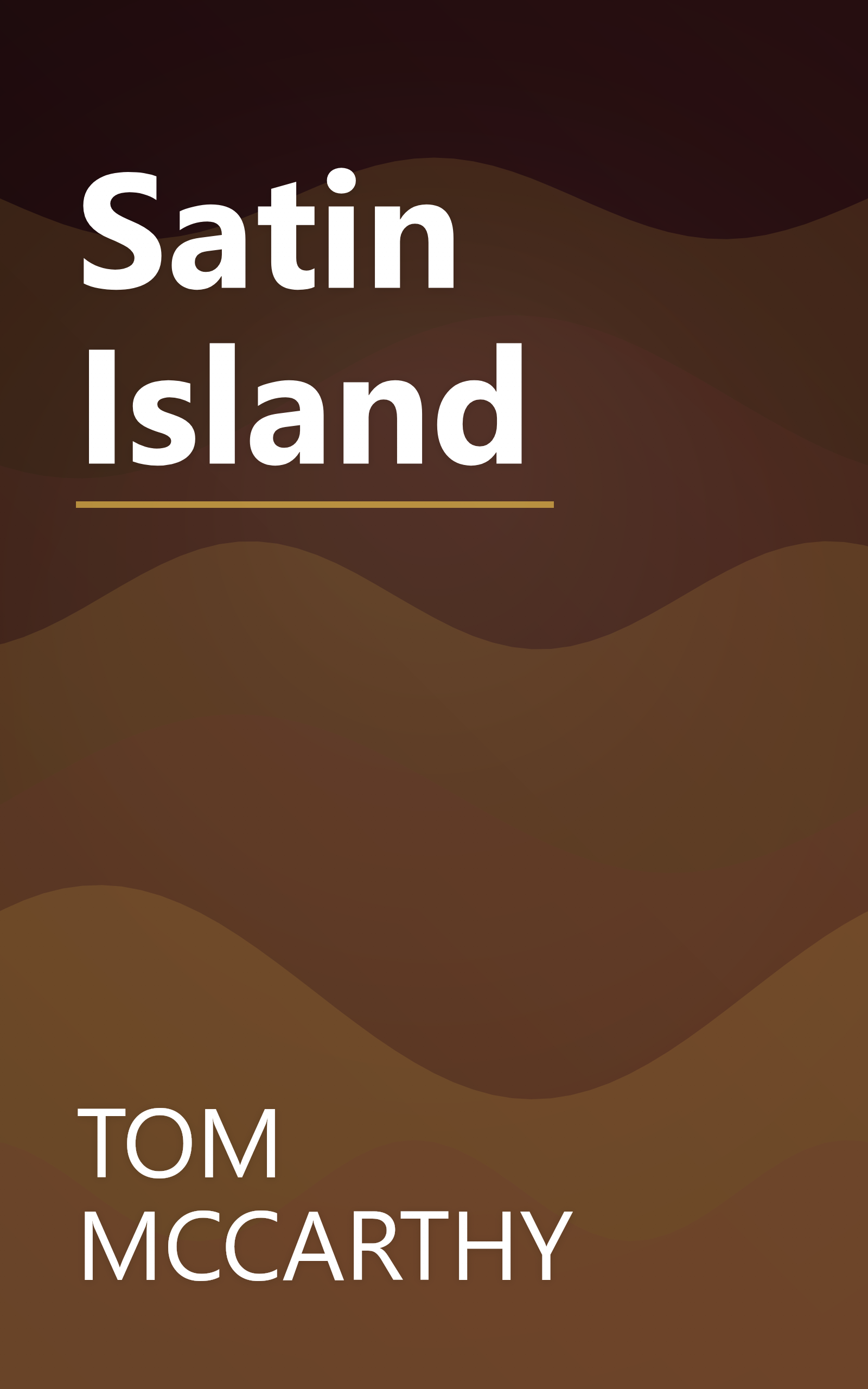 Satin Island book cover