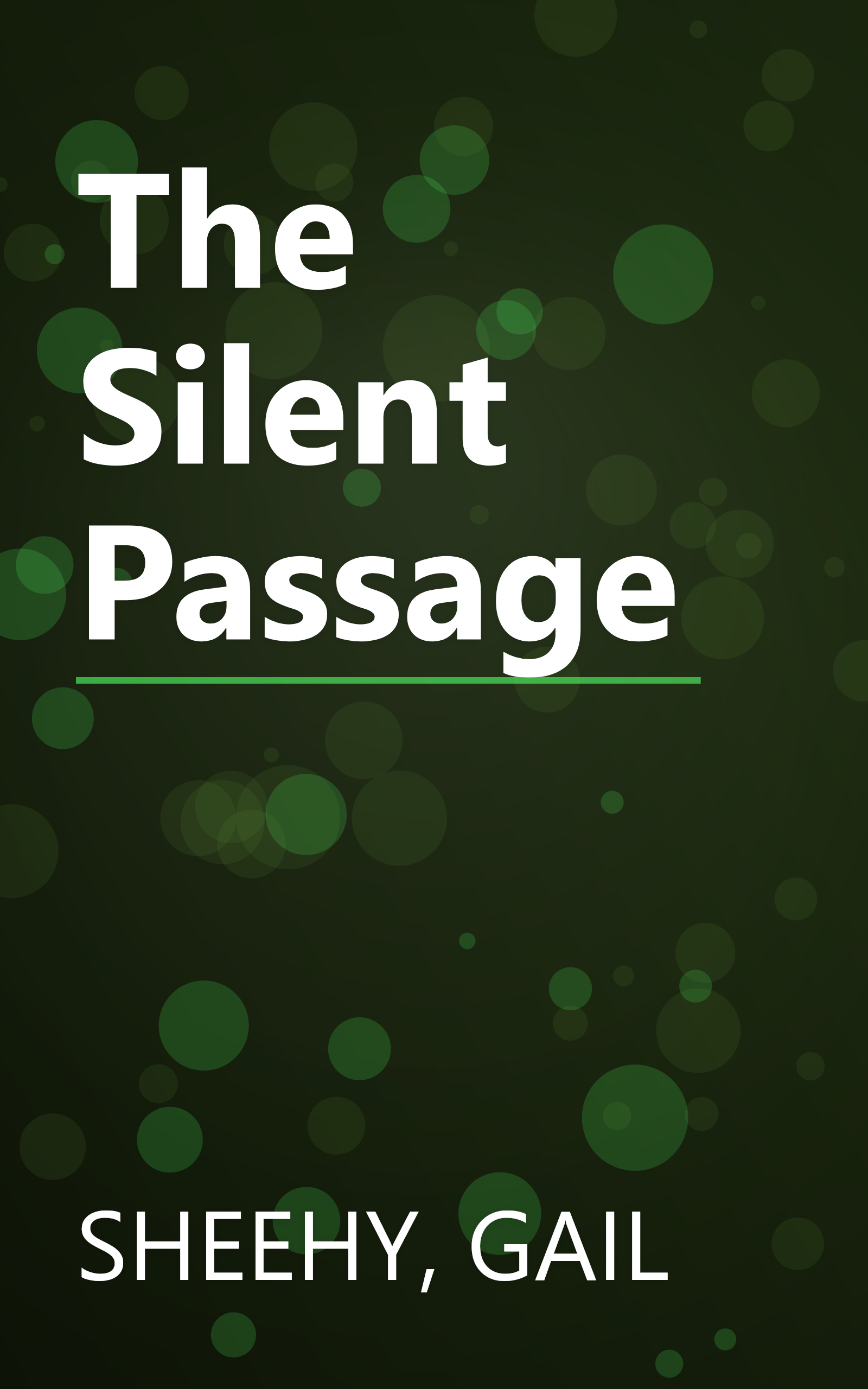 The Silent Passage book cover