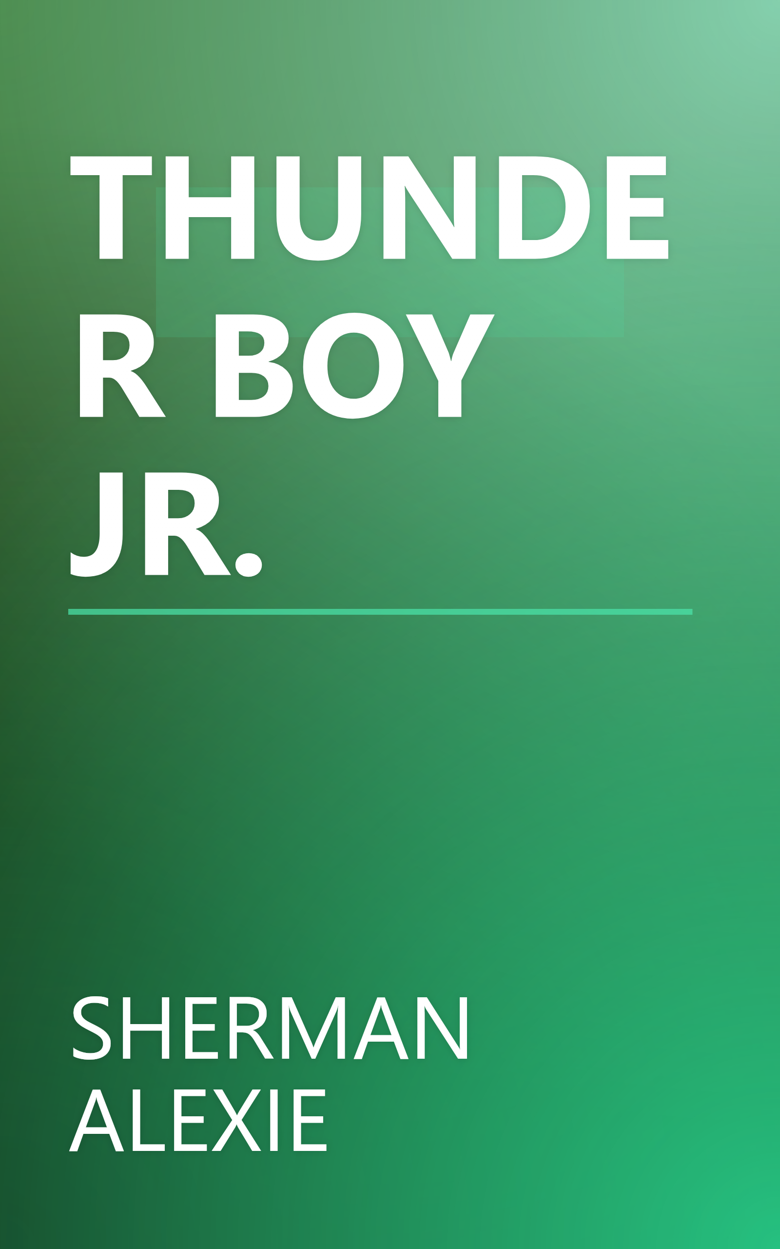 THUNDER BOY JR. book cover
