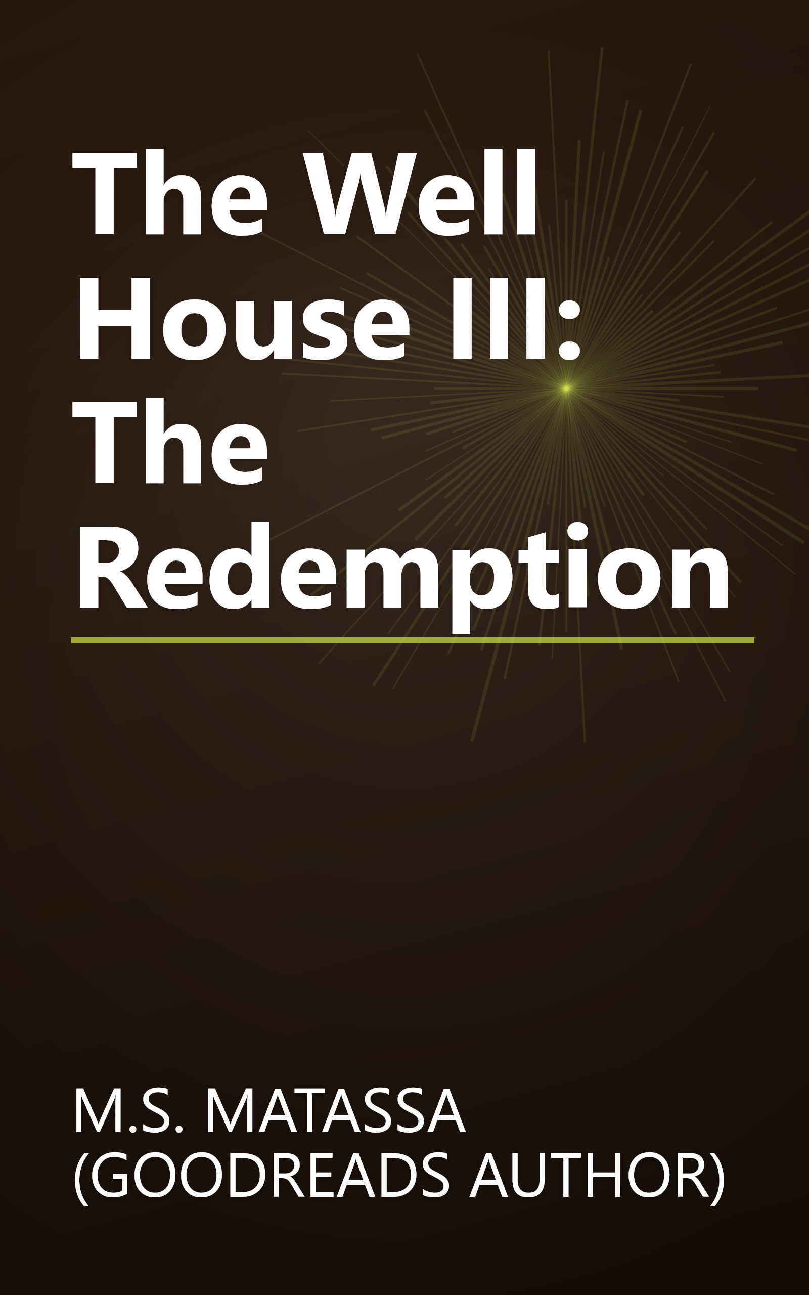 The Well House III: The Redemption book cover