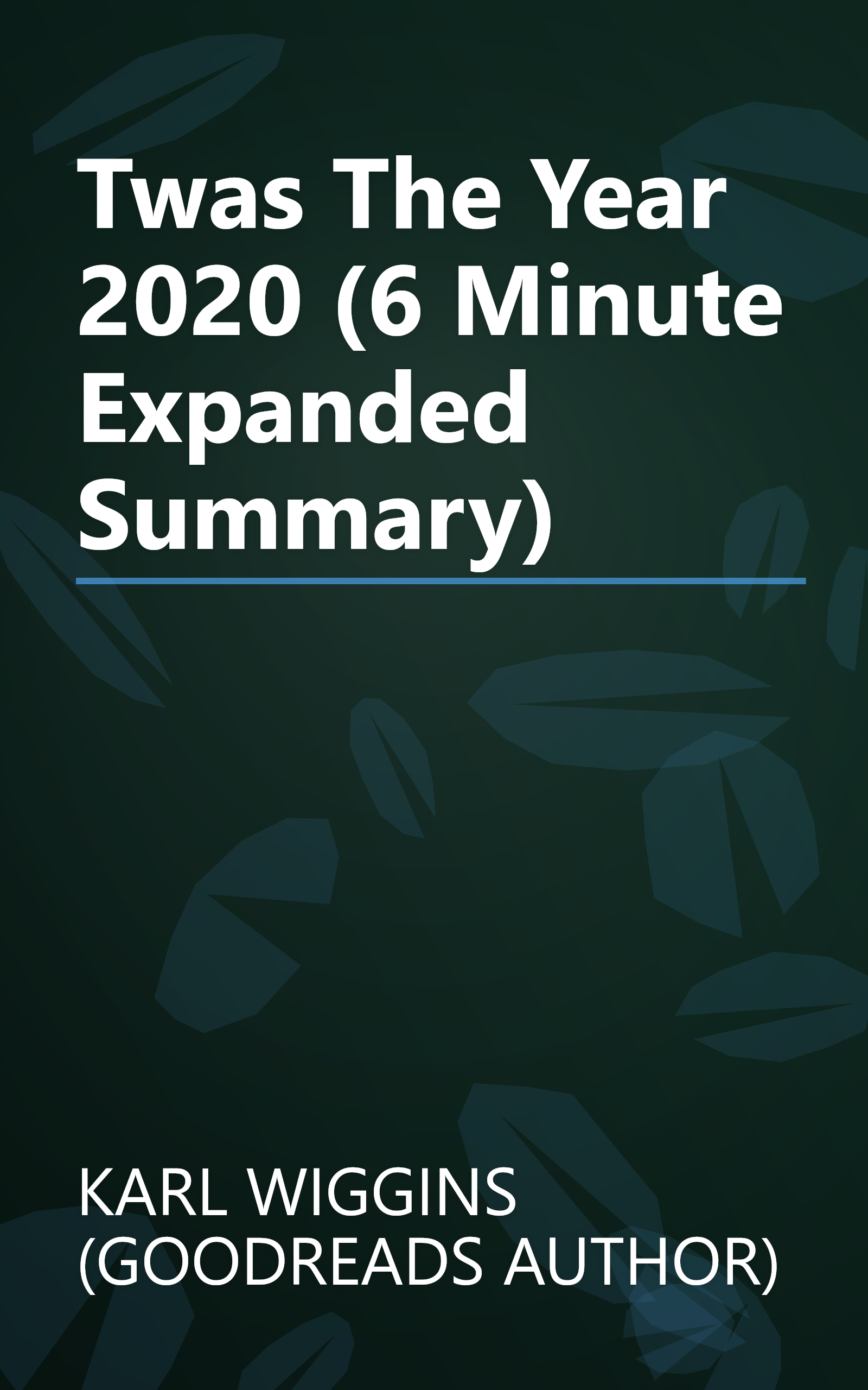 Twas The Year 2020 (6 Minute   Expanded Summary) book cover