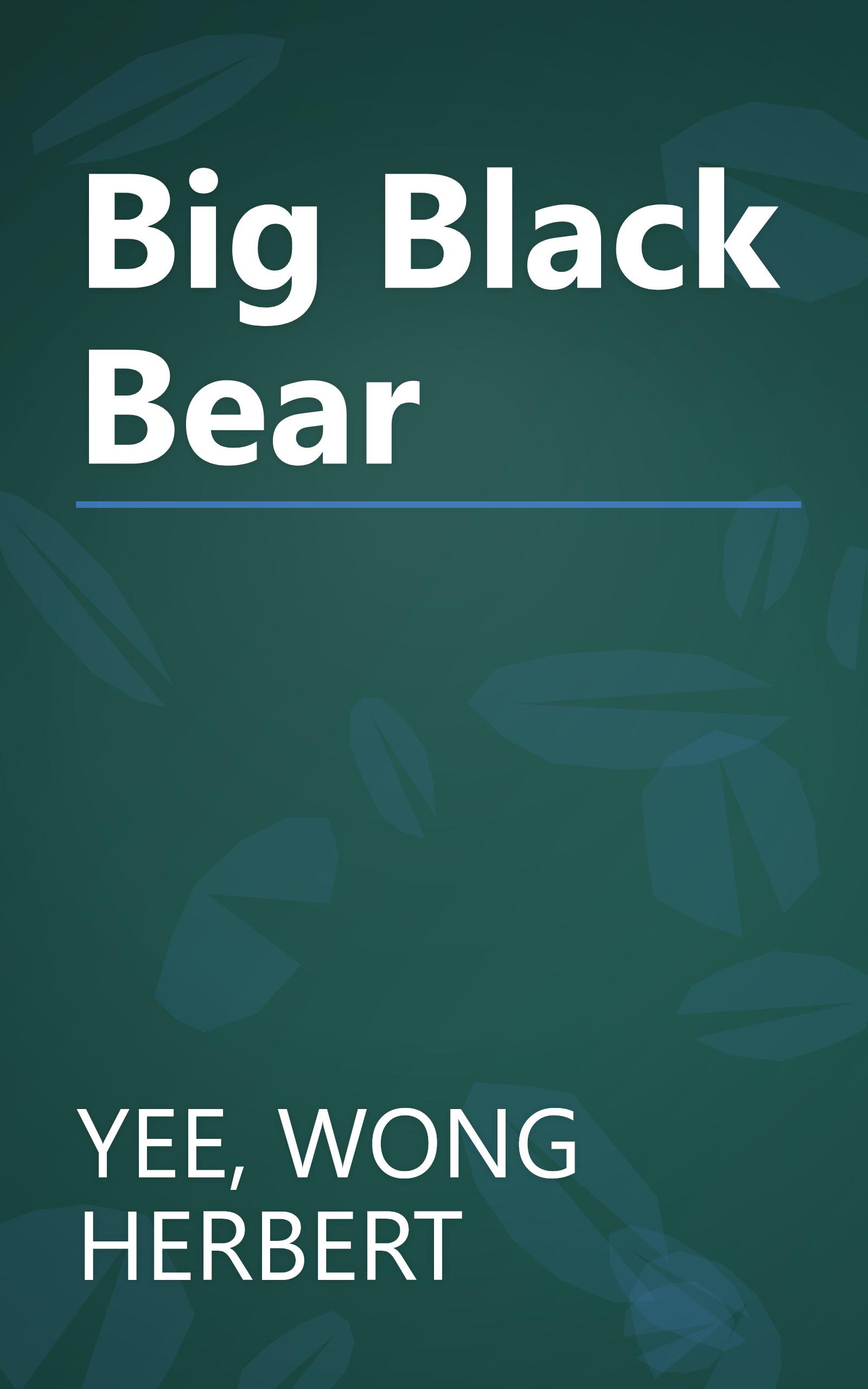 Big Black Bear book cover