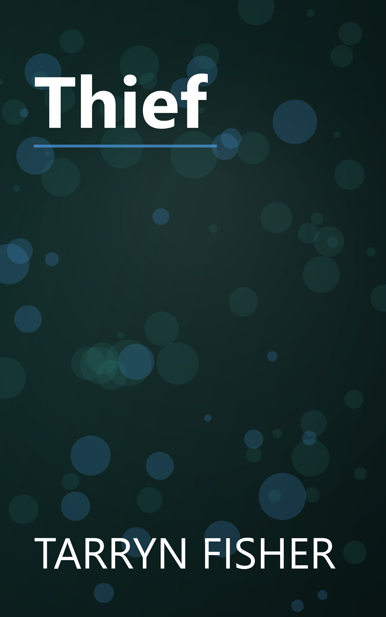 Thief book cover